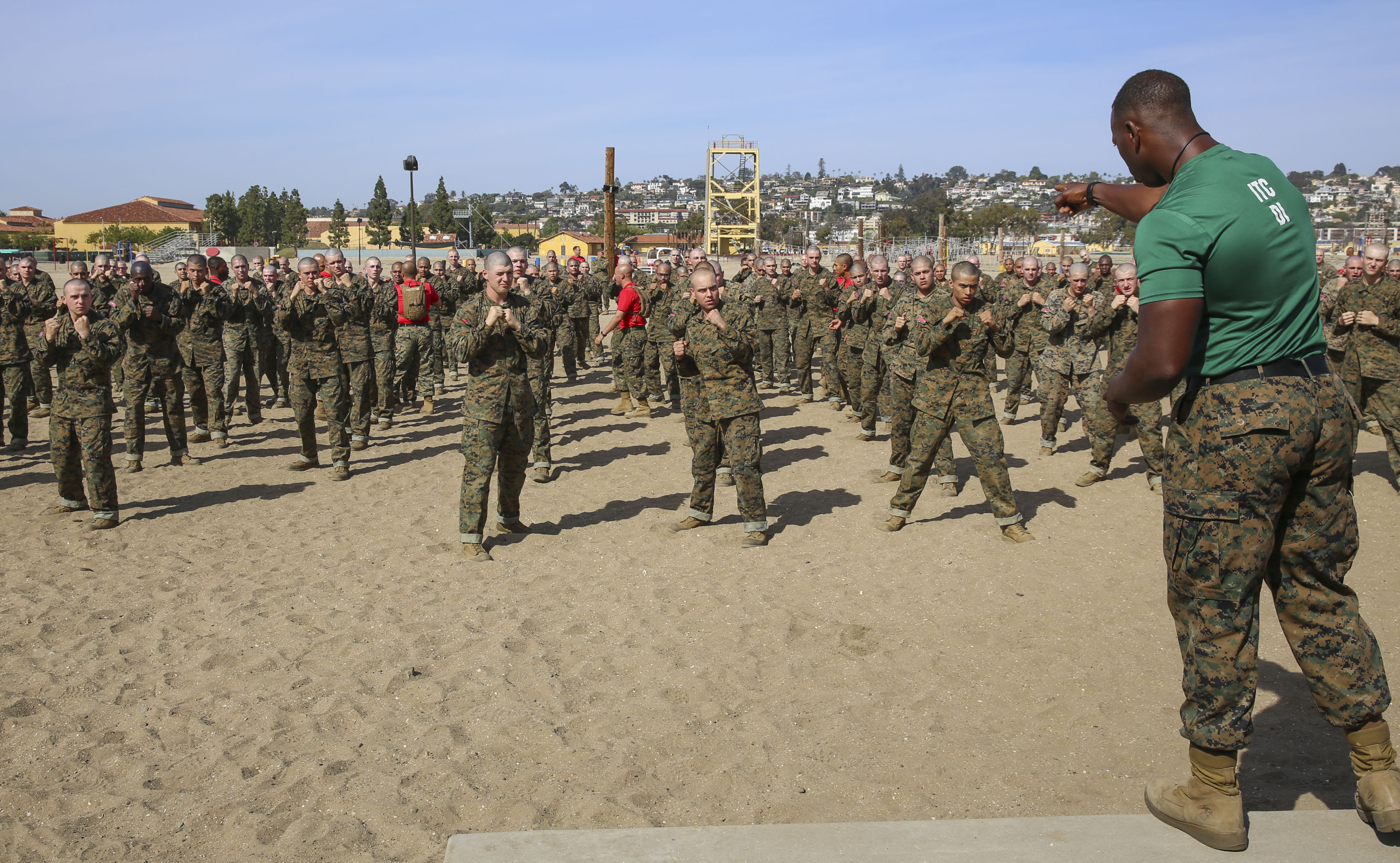 Co. C - Introduction to MCMAP and punches