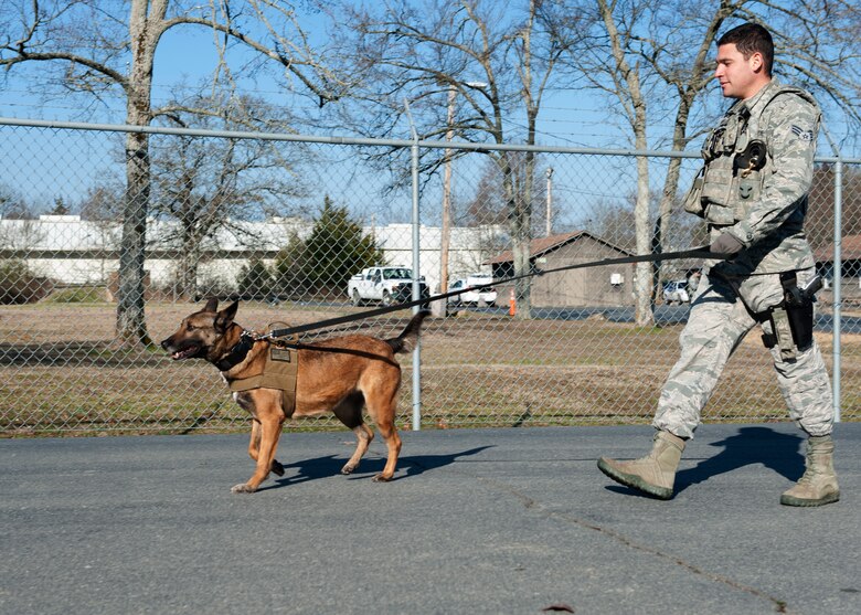 K-9 combine strengthens partnerships > Little Rock Air Force Base ...