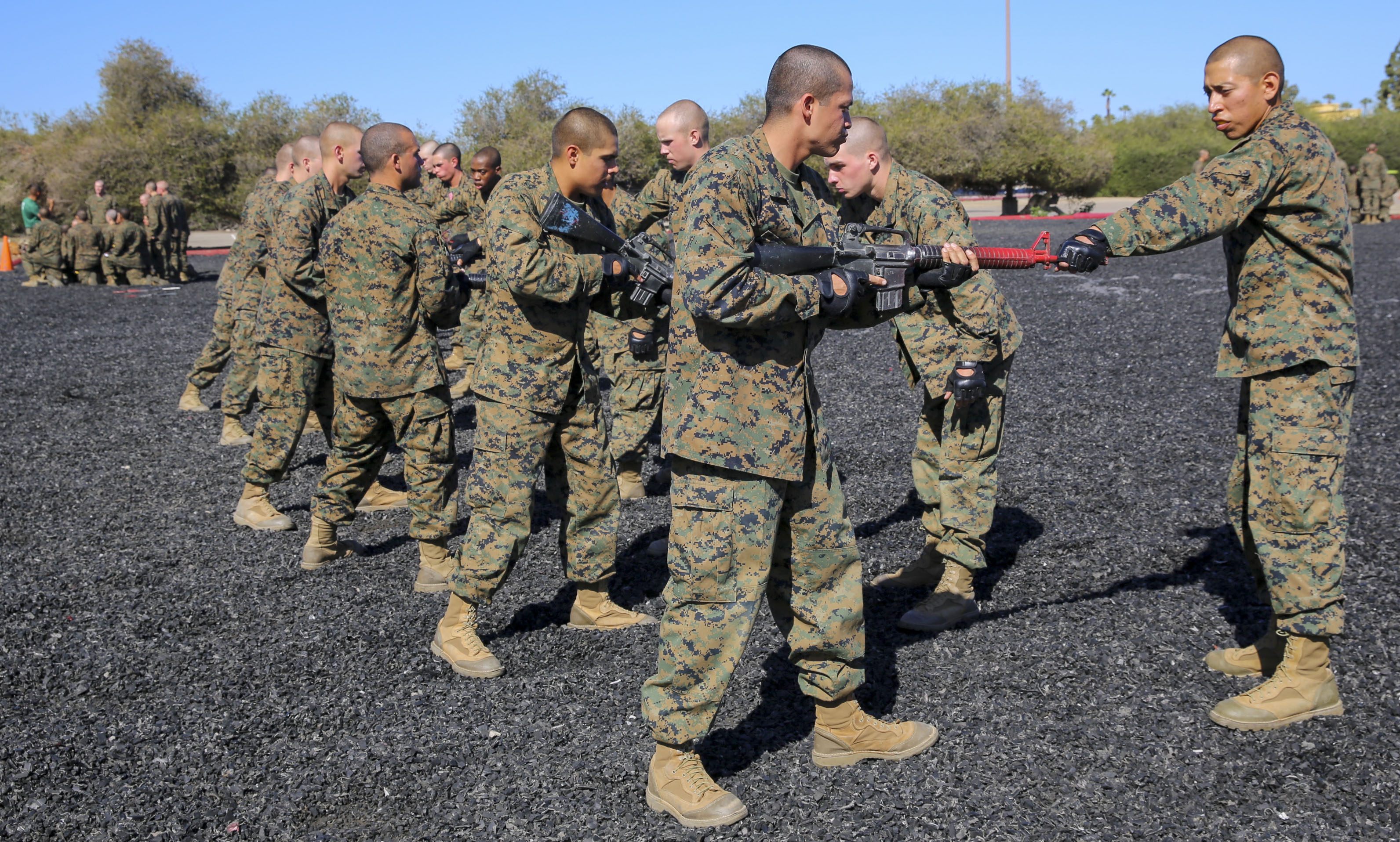 Delta Companys recruits tackle the MCMAP test