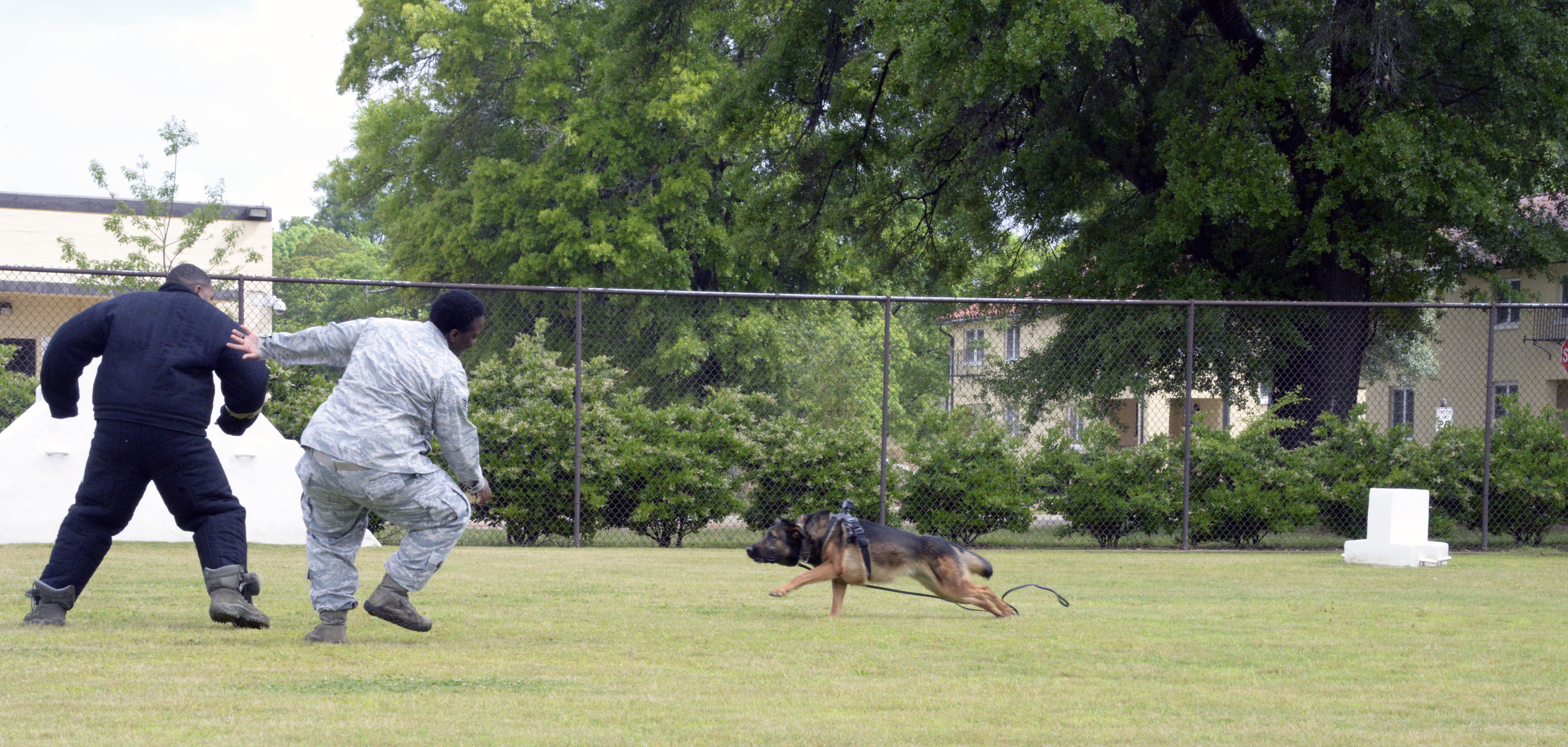 Association donates supplies and supports MWD > Air University (AU ...