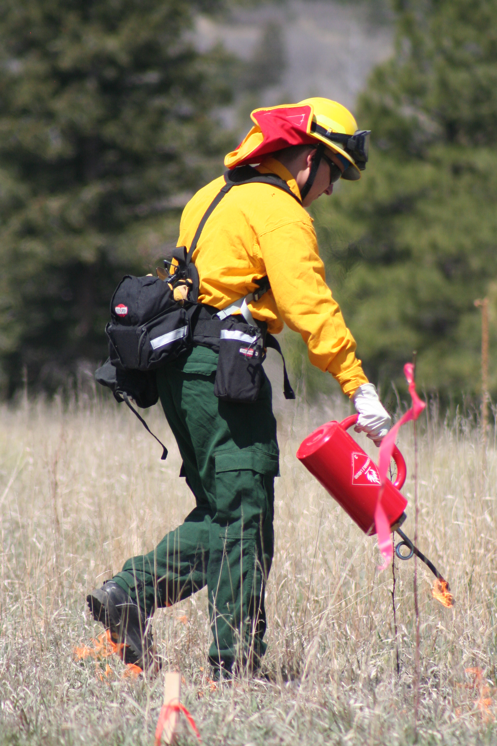 Controlled Burn