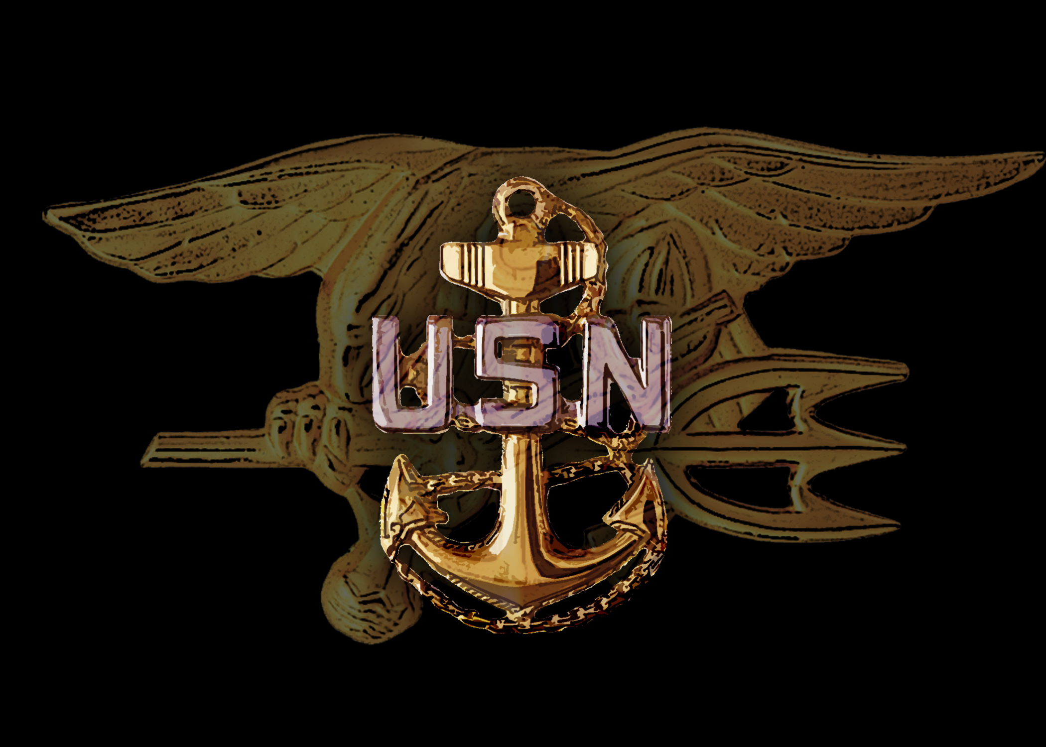 Navy SEAL Posthumously Promoted > United States Navy > display ...