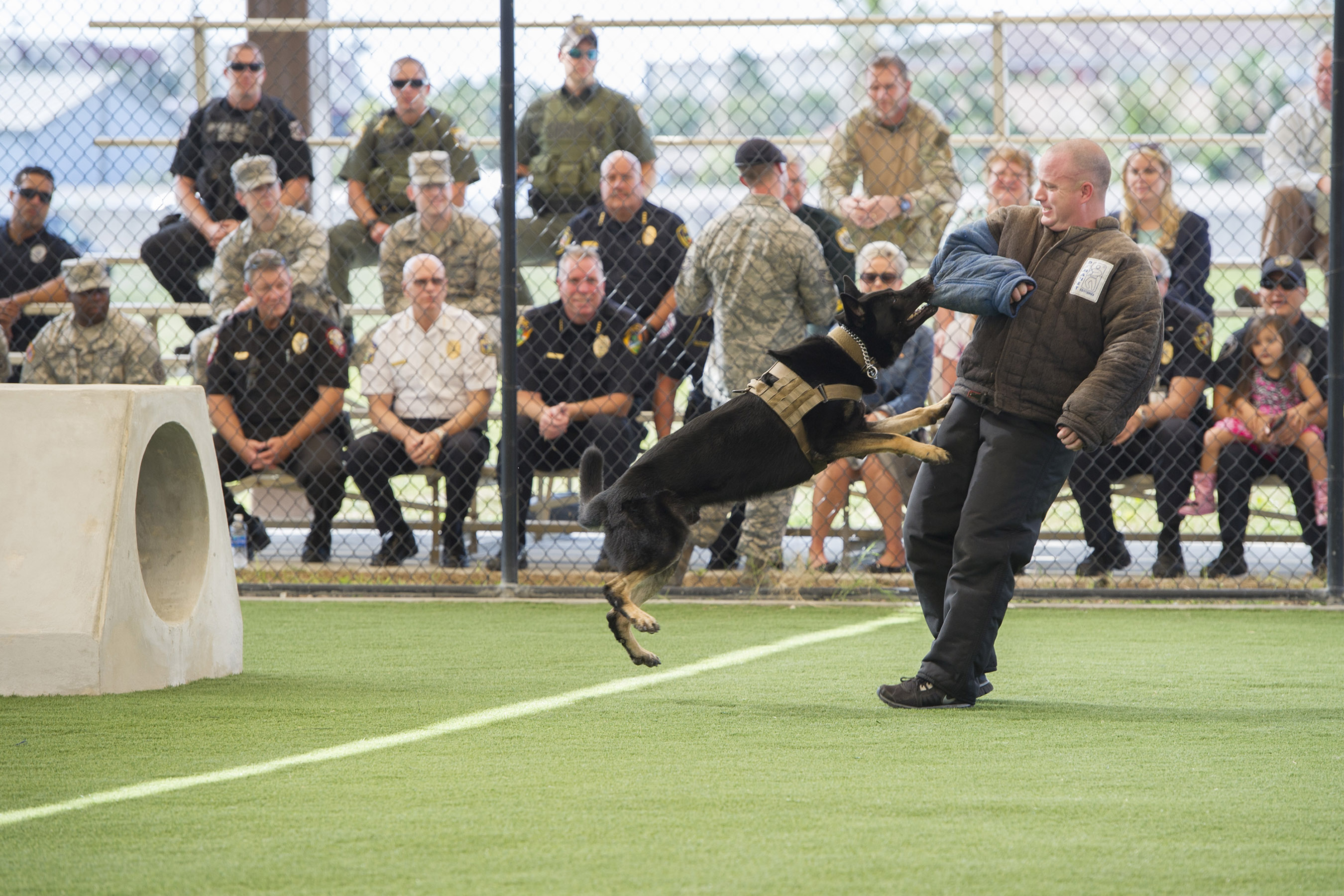 45th Security Forces Squadron unveils improved military working dog ...
