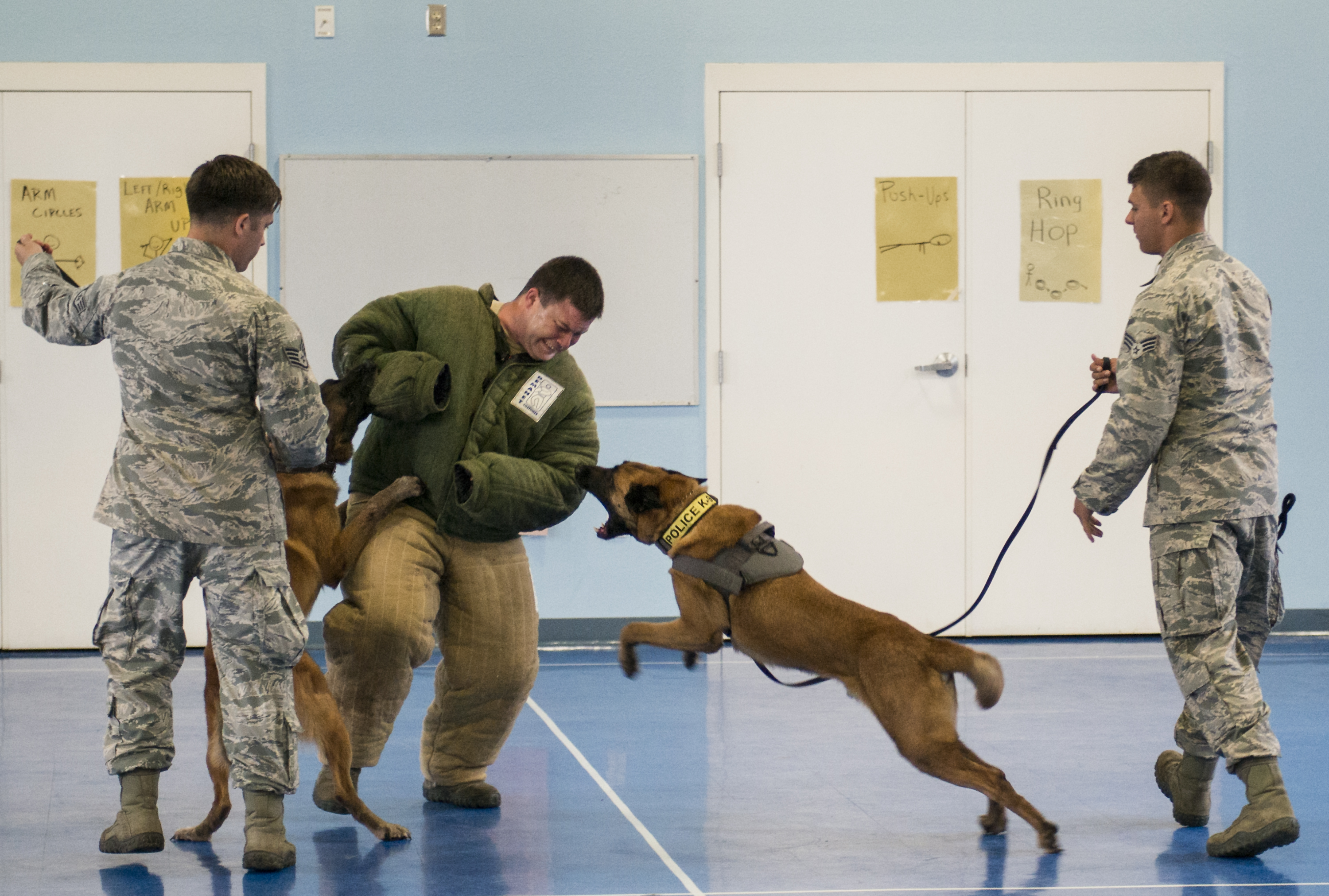K-9 demo for kids > Eglin Air Force Base > News