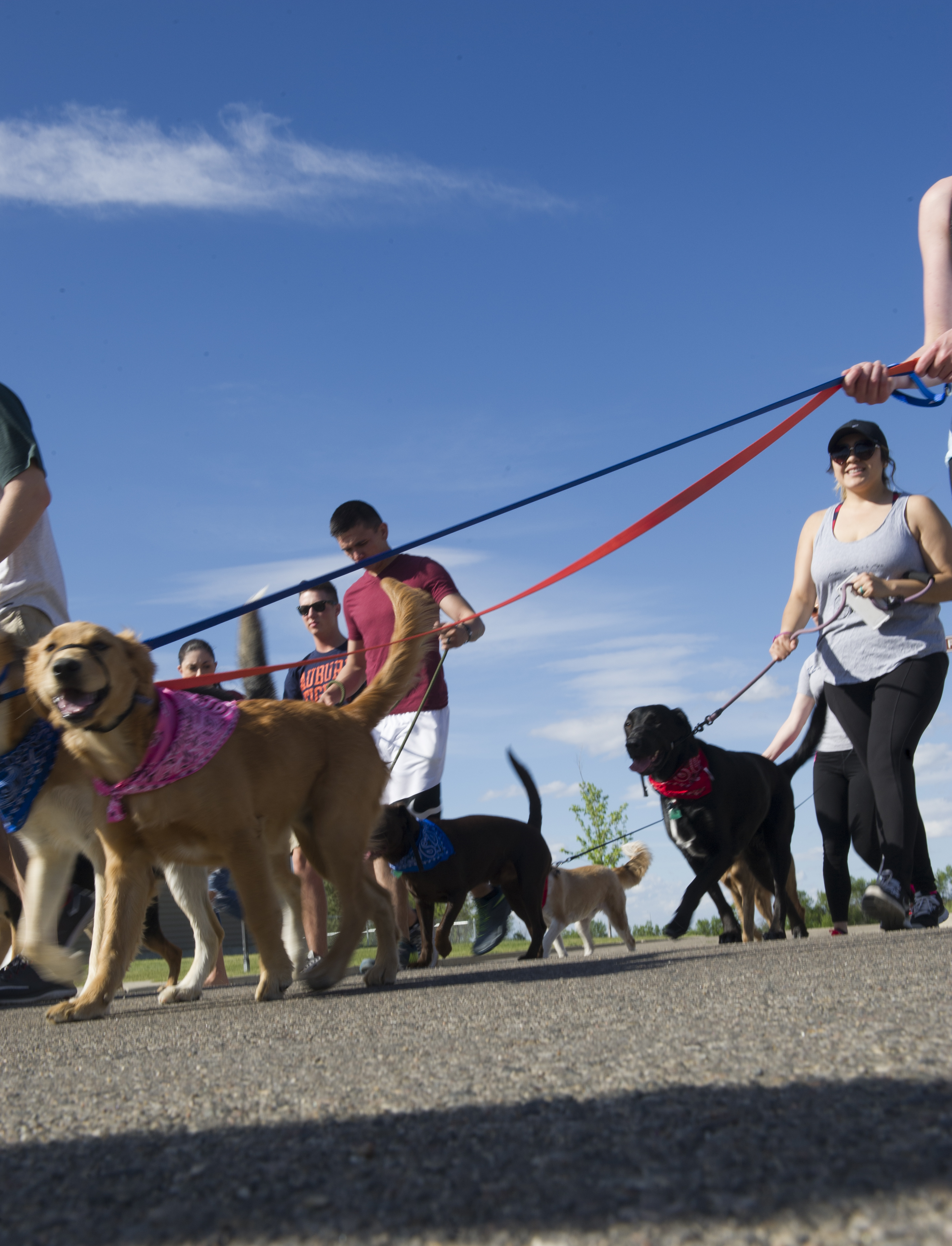 Shaggy Shuffle Community Walk > Minot Air Force Base > Article Display