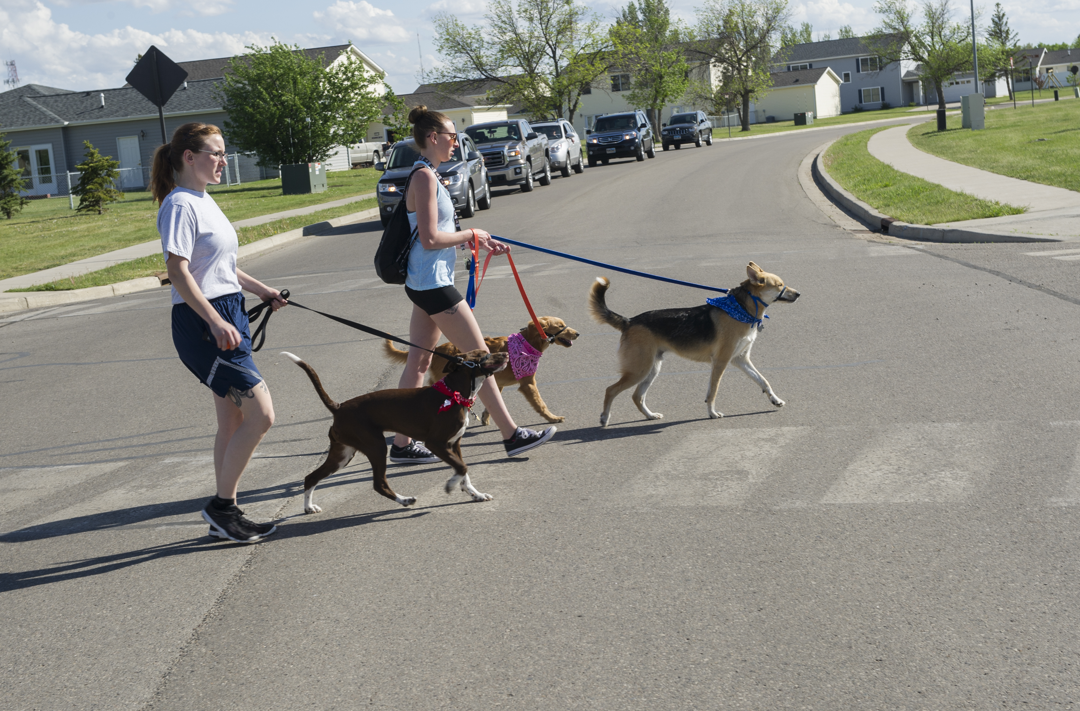 Shaggy Shuffle Community Walk > Minot Air Force Base > Article Display