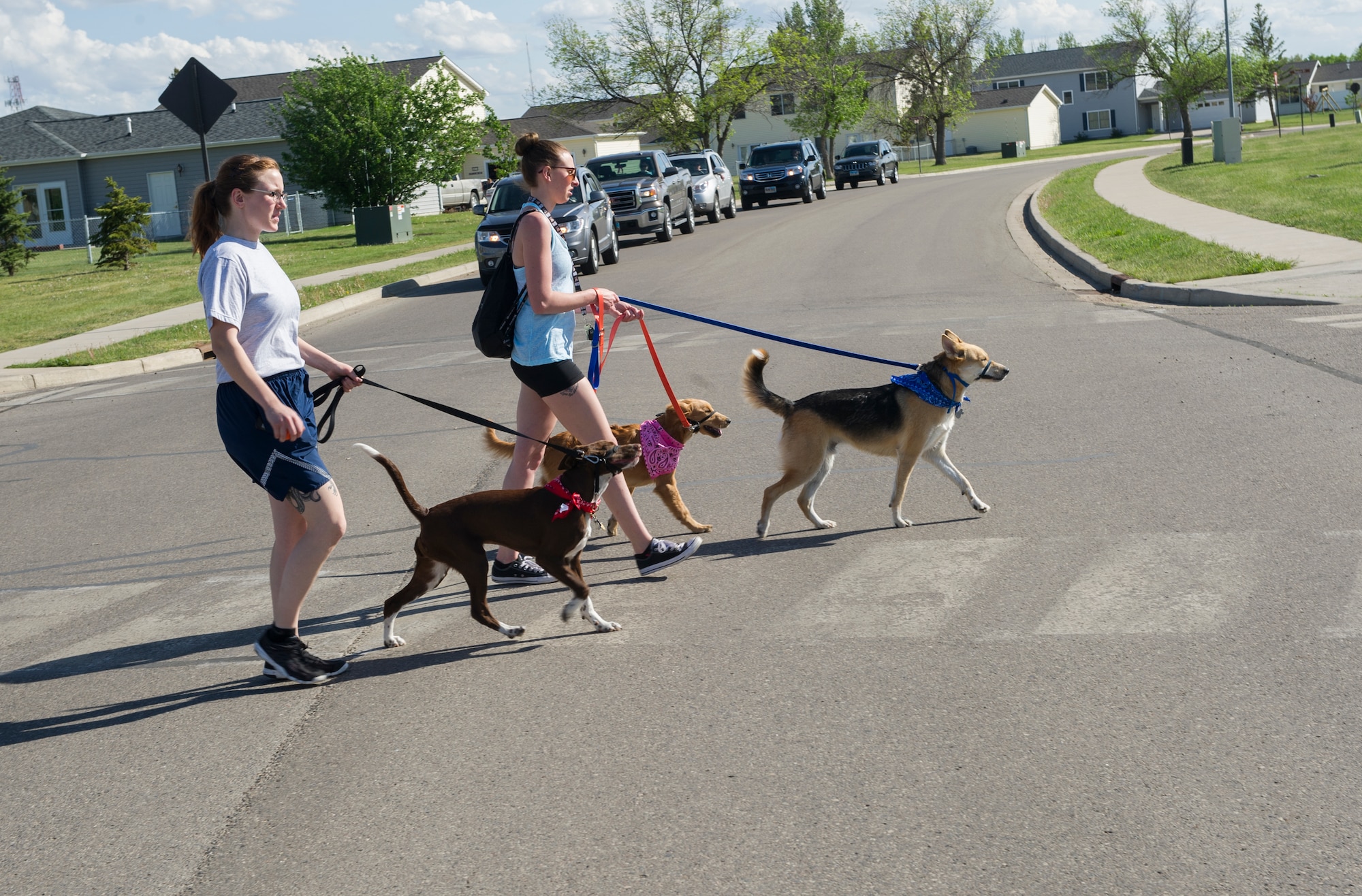 Shaggy Shuffle Community Walk > Minot Air Force Base > Article Display