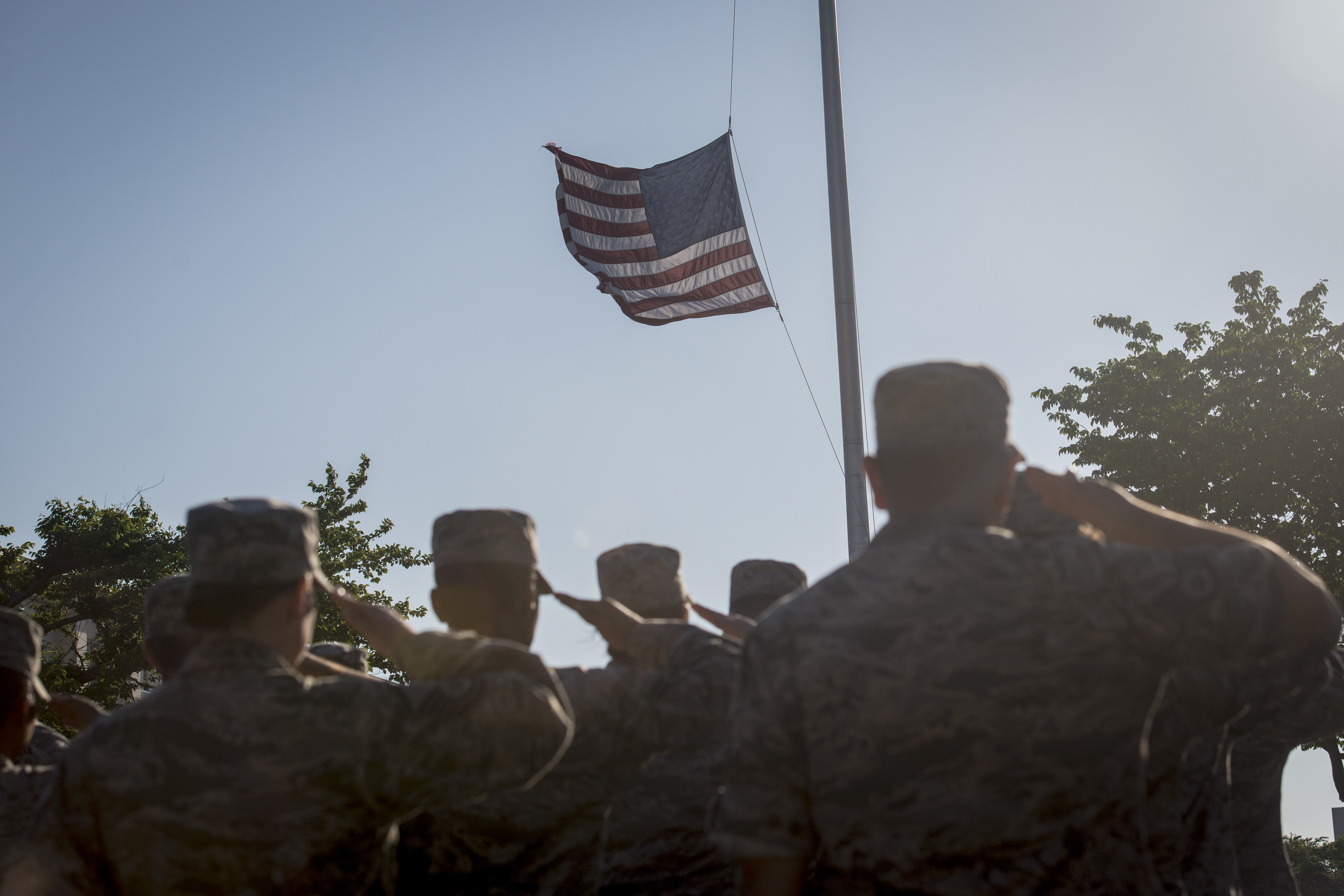 Memorial Day Salute