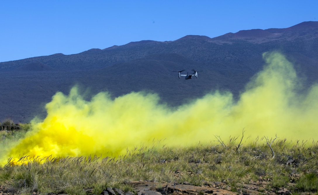 1/3 Alpha Company Assault