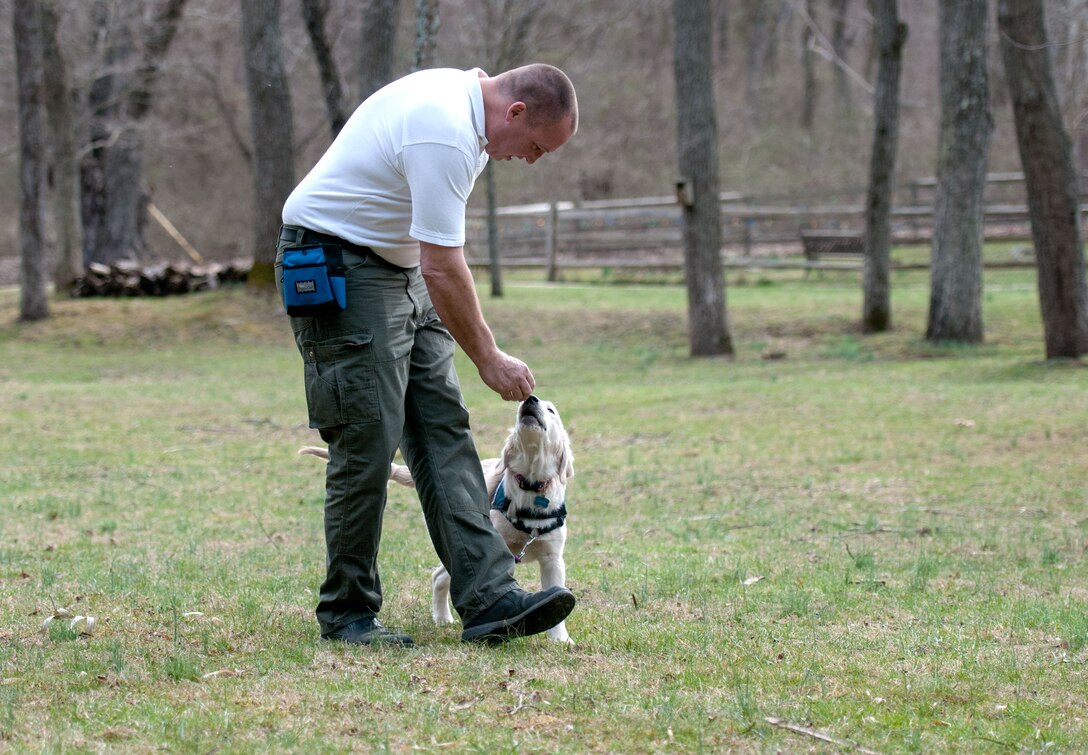 Rick Yount, the executive director of Warrior Canine Connection, trains ...