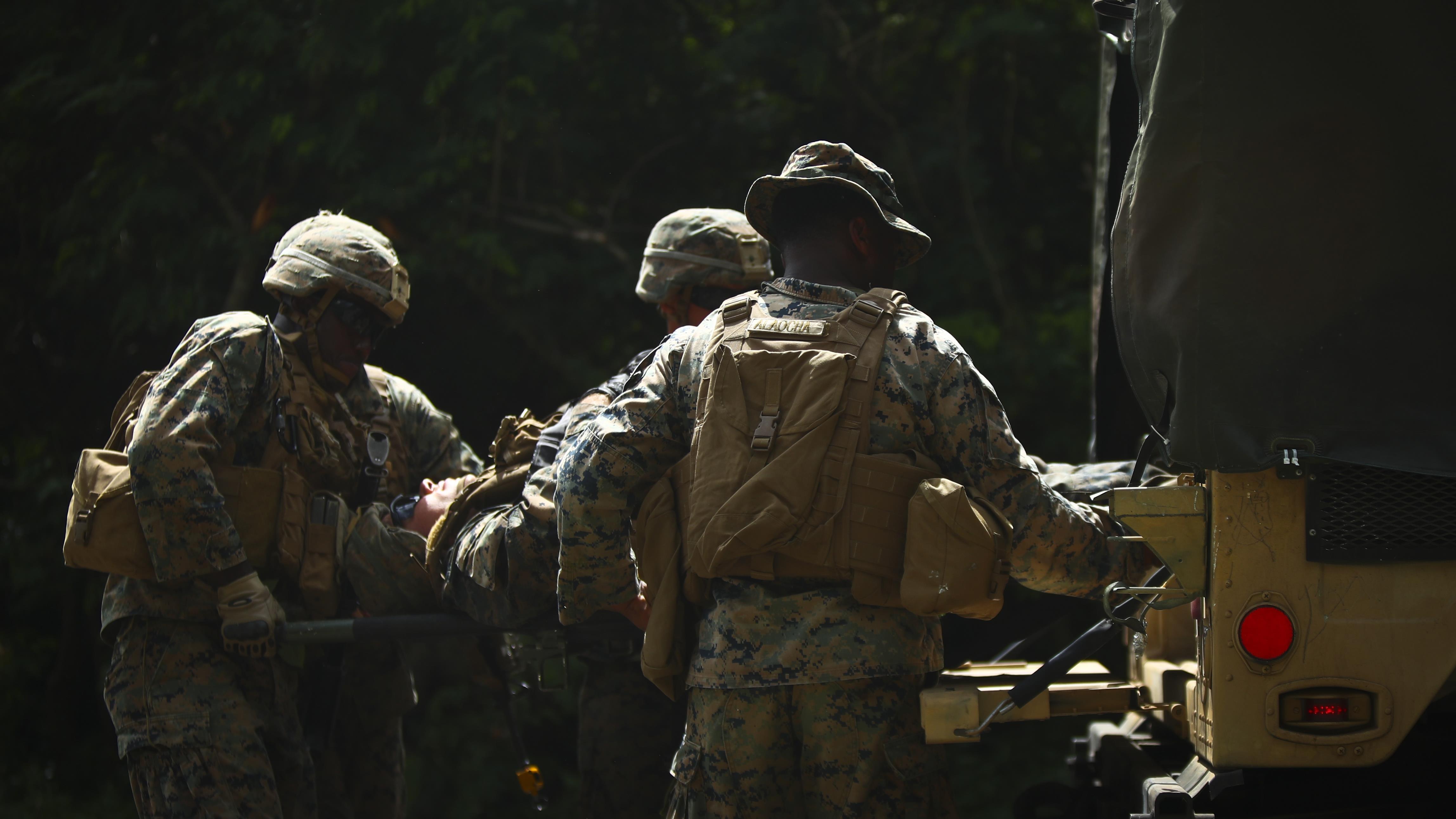 Lava Dogs become deadlier during Operation Island Viper