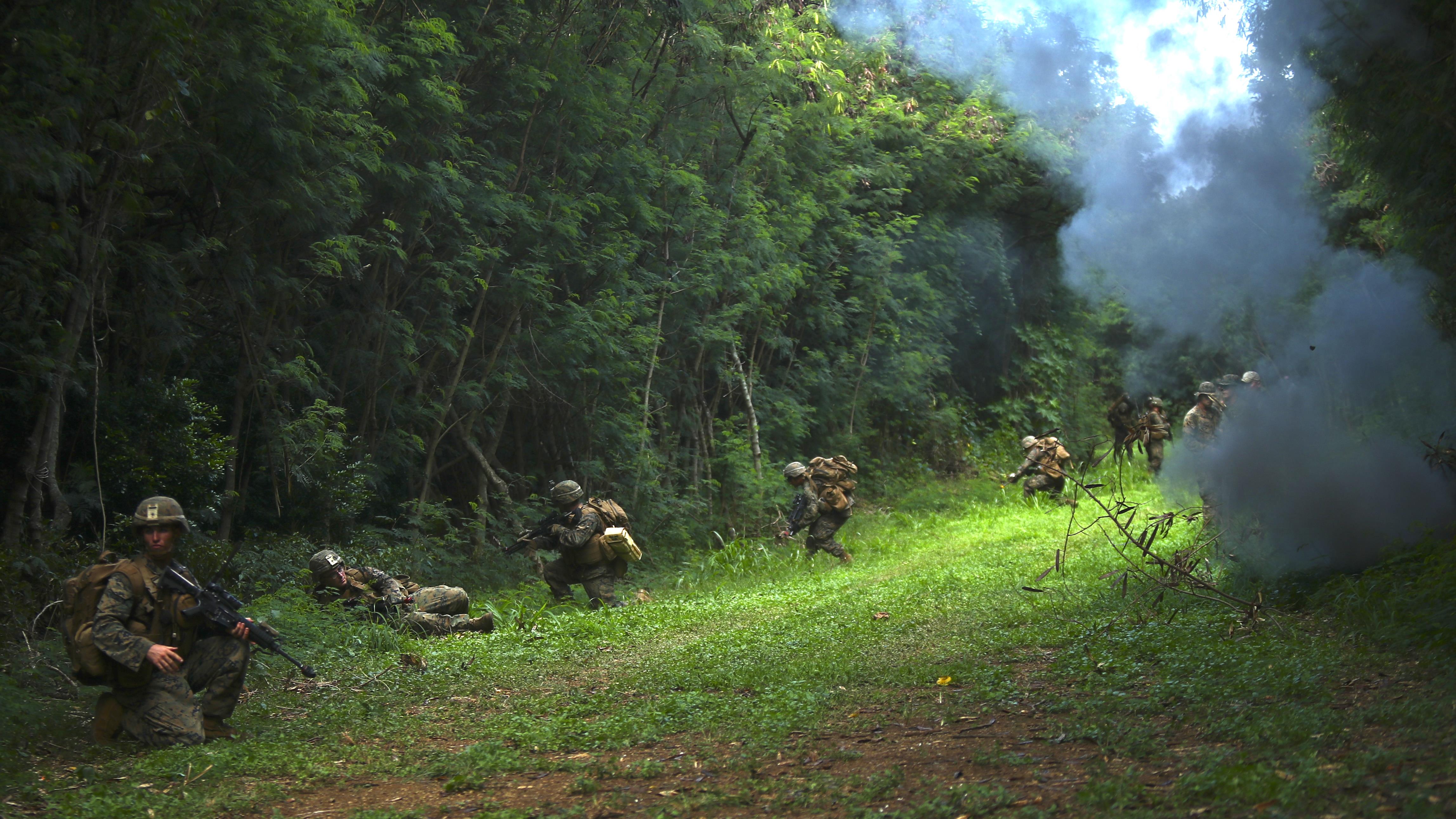 Lava Dogs become deadlier during Operation Island Viper