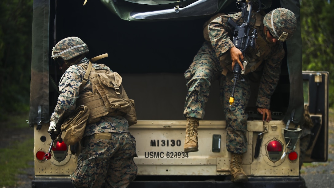 Lava Dogs become deadlier during Operation Island Viper
