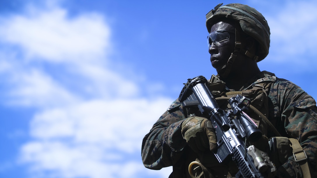 Lava Dogs become deadlier during Operation Island Viper