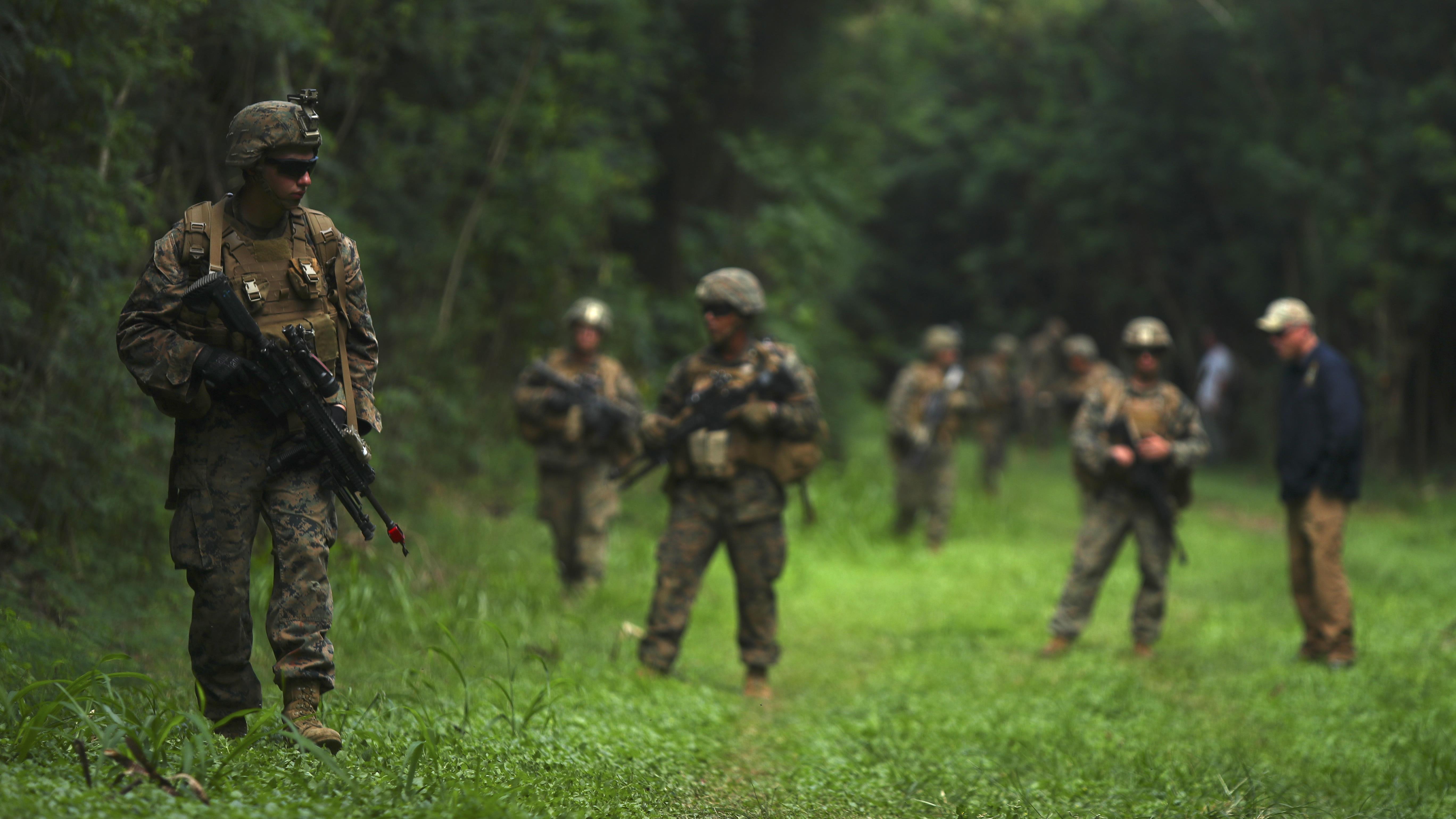 Lava Dogs become deadlier during Operation Island Viper
