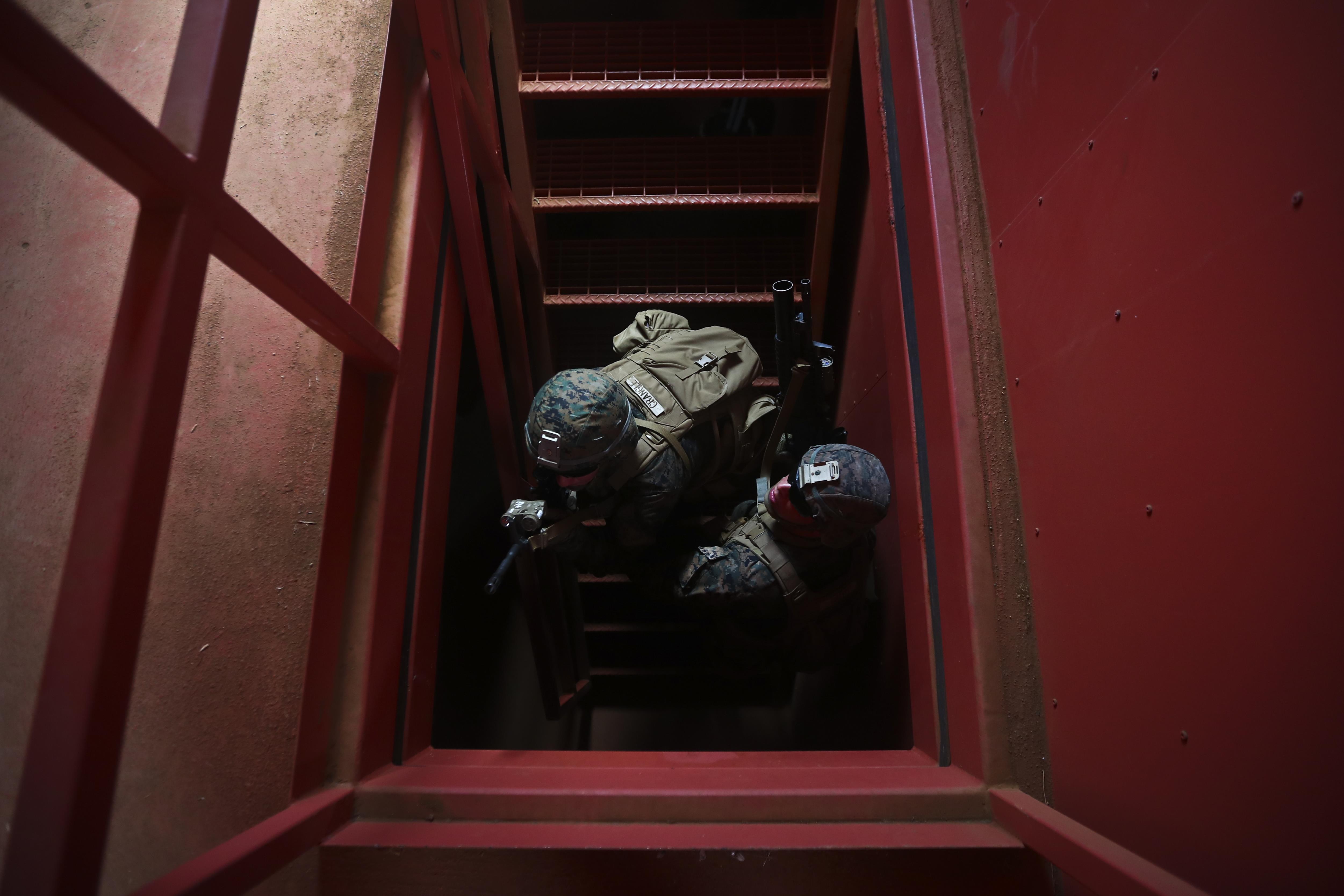 Lava Dogs become deadlier during Operation Island Viper