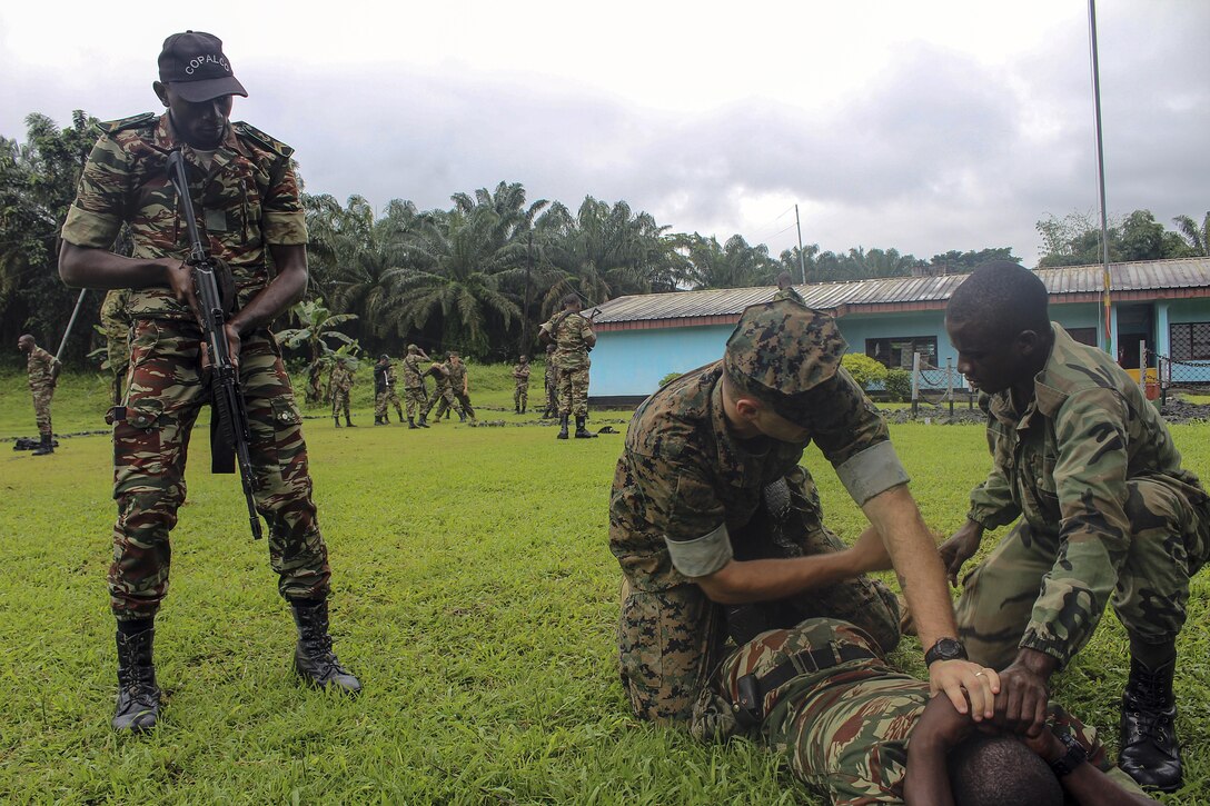 Cameroon, U.S. work together to combat illicit trafficking