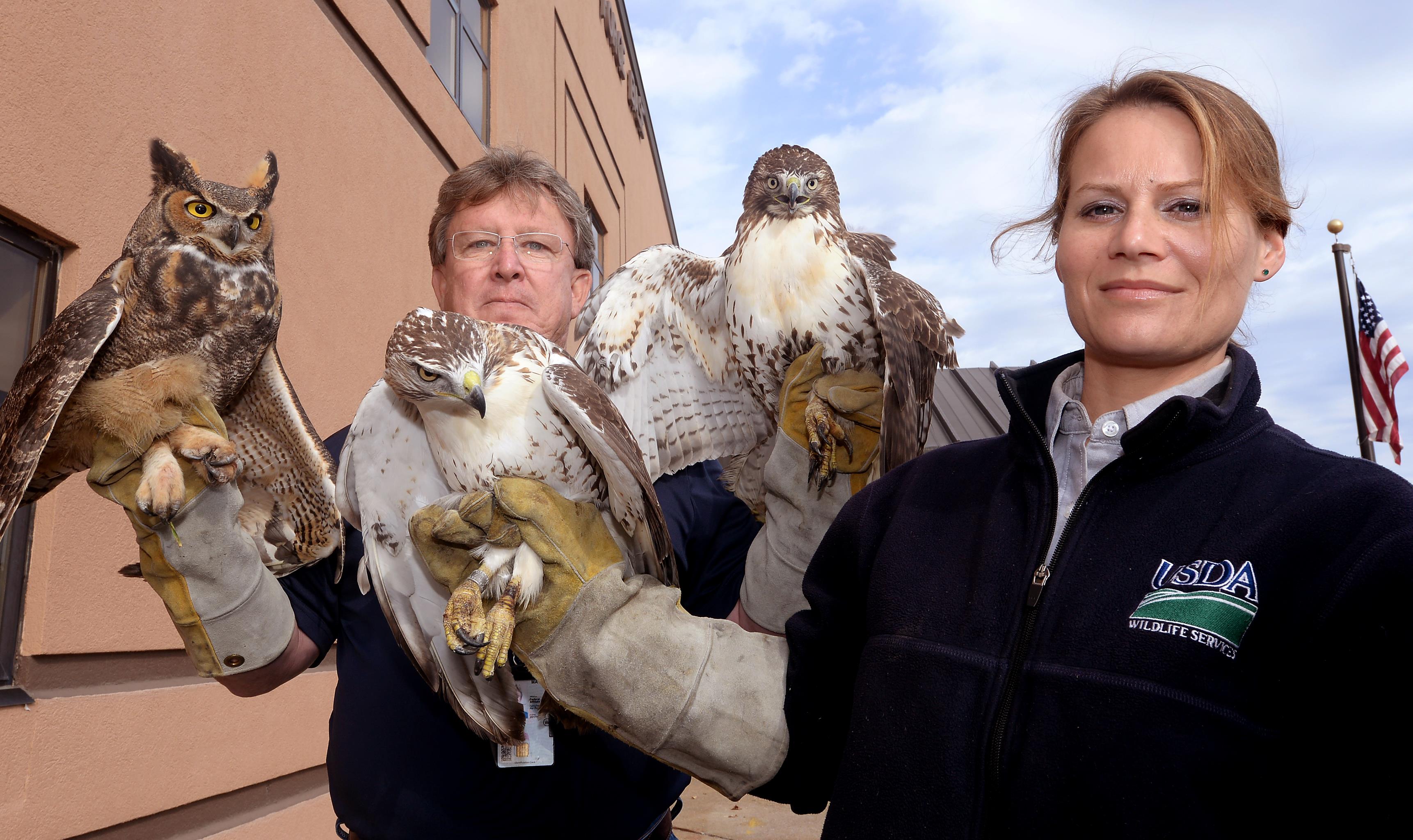 Fall migration has BASH program on heightened alert > Offutt Air Force ...