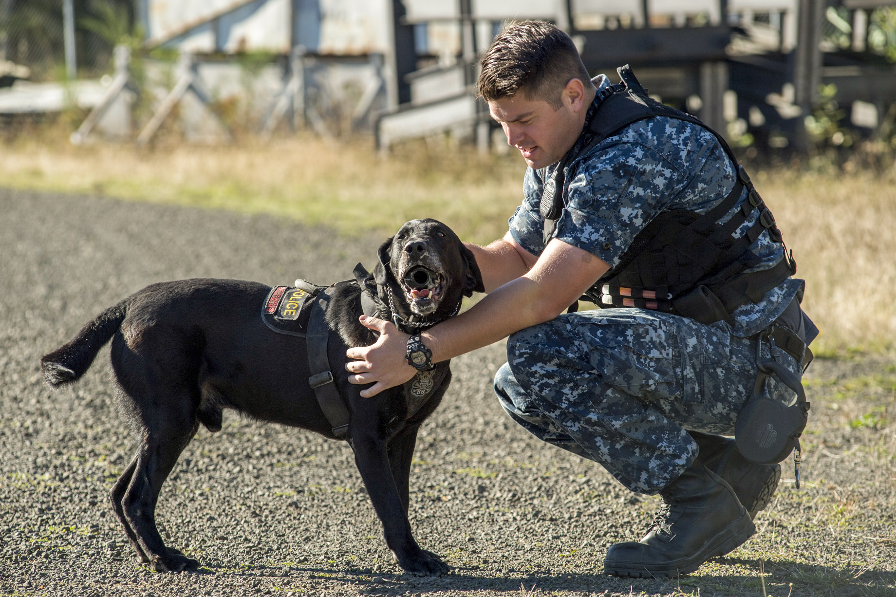 Good Dog | U.S. Department of War