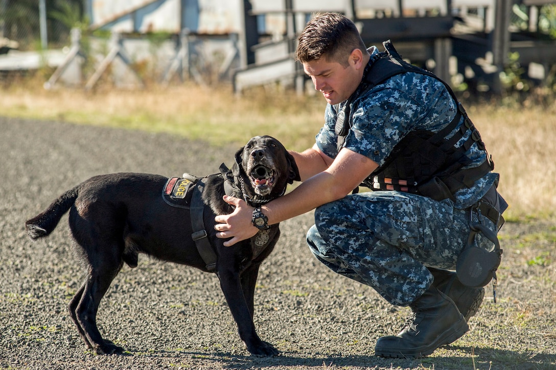 Good Dog