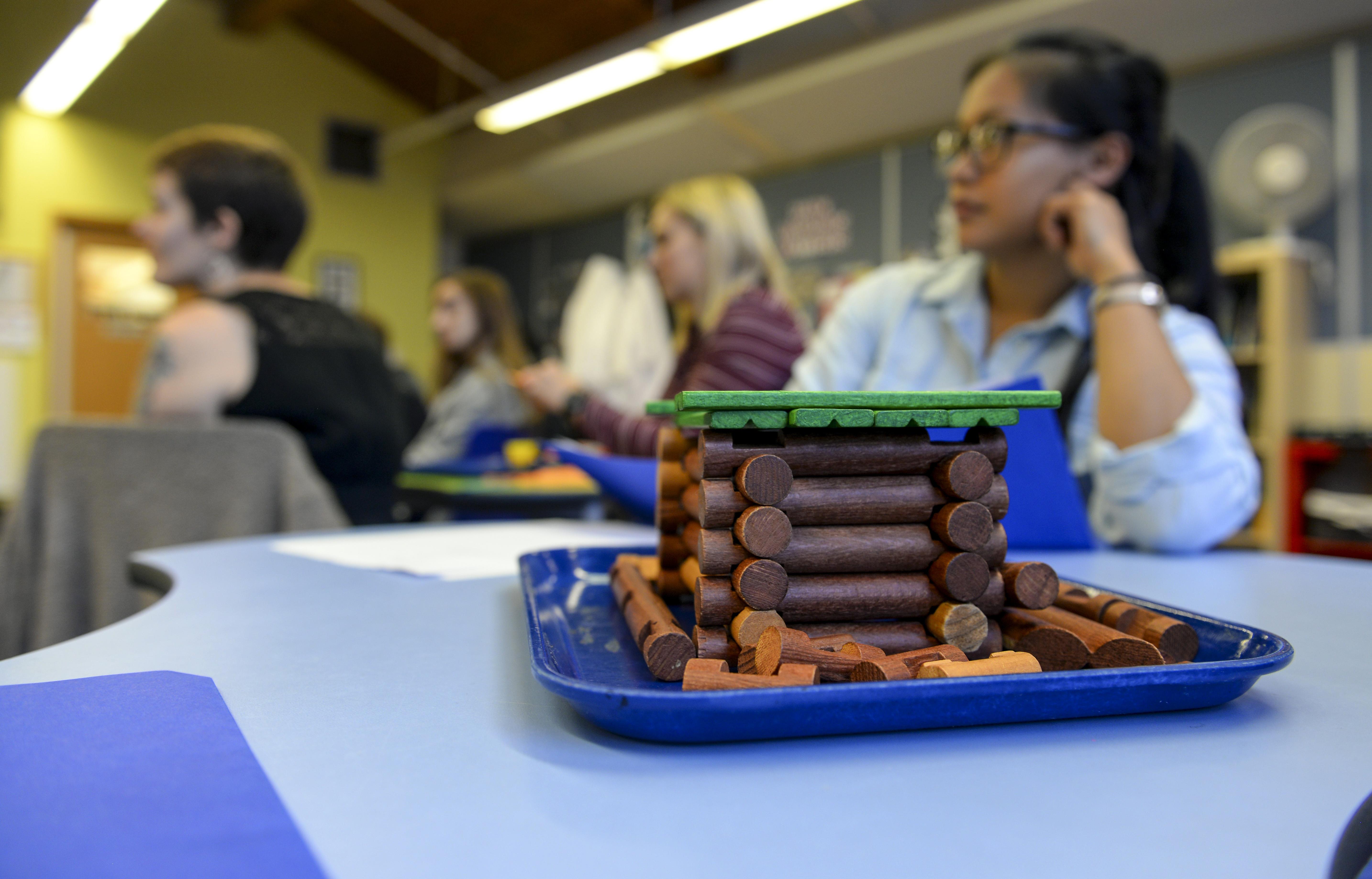 Iroquois Longhouse Project 4th Grade