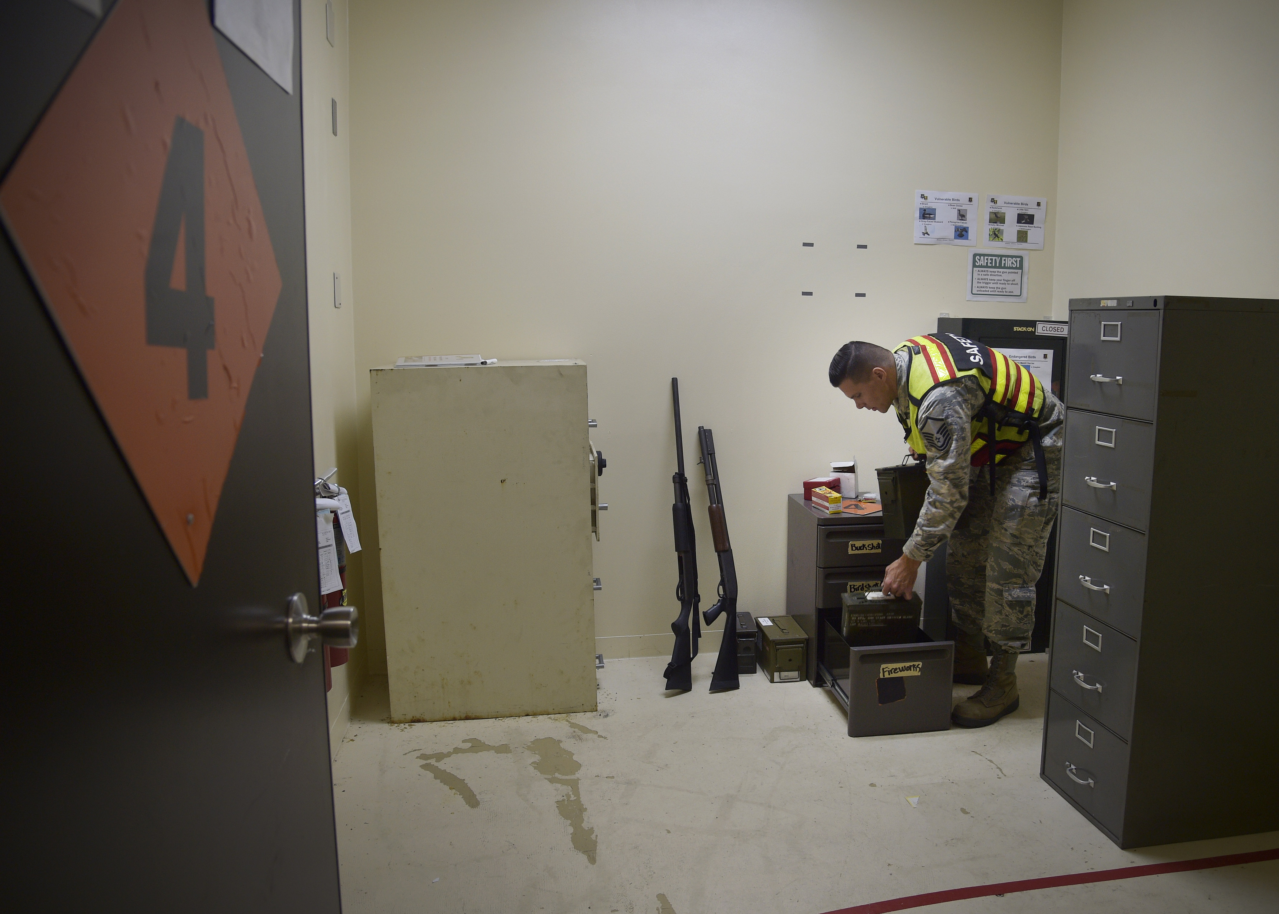 Safety BASH keeps birds from airfield > Misawa Air Base > Article Display