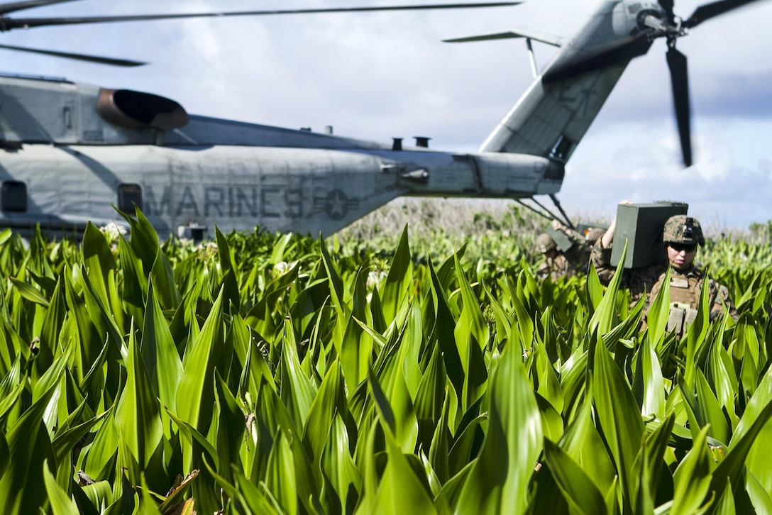 Unloading Mortar Rounds | U.S. Department of War