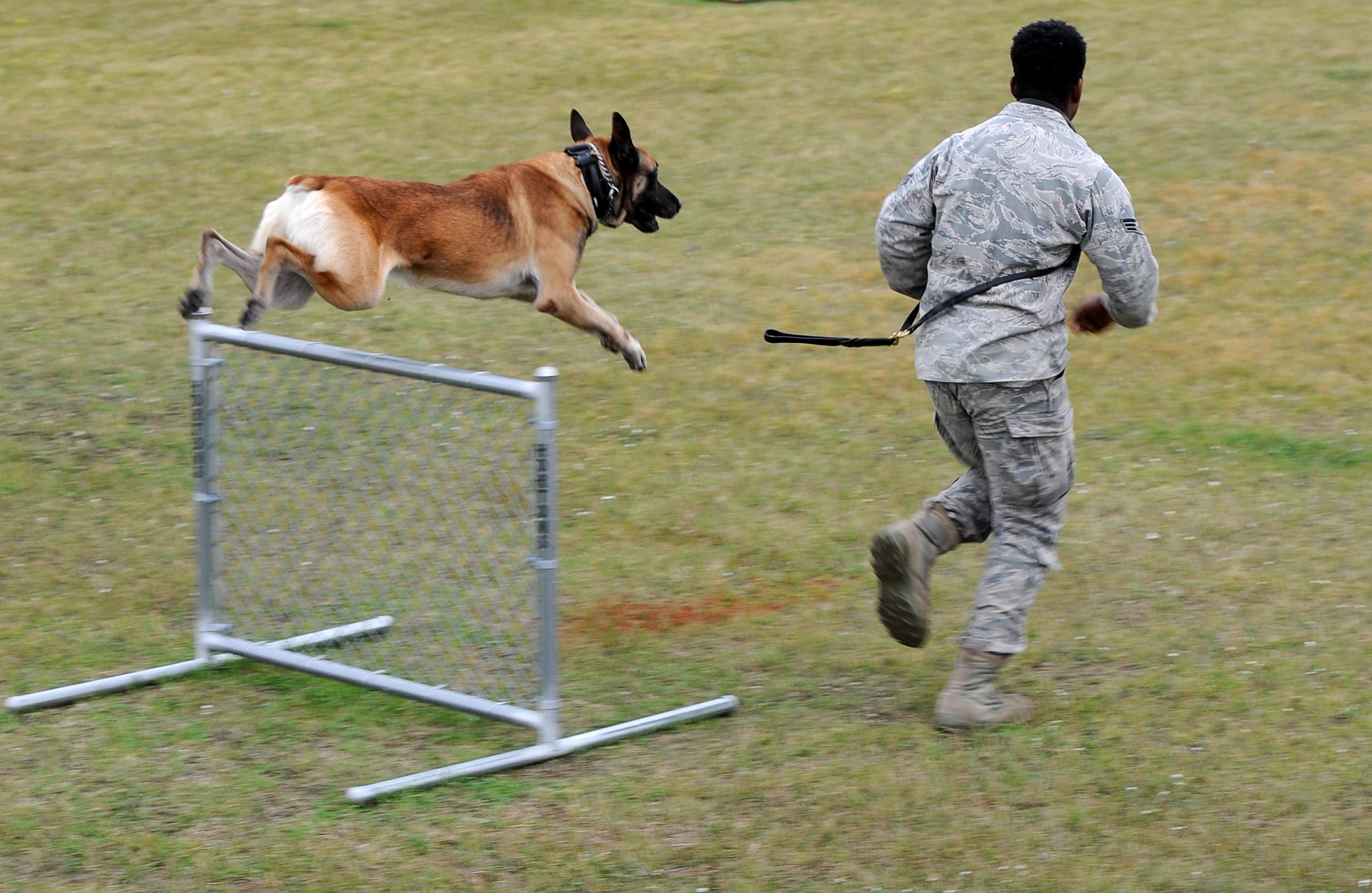 MWD's: All work, some play