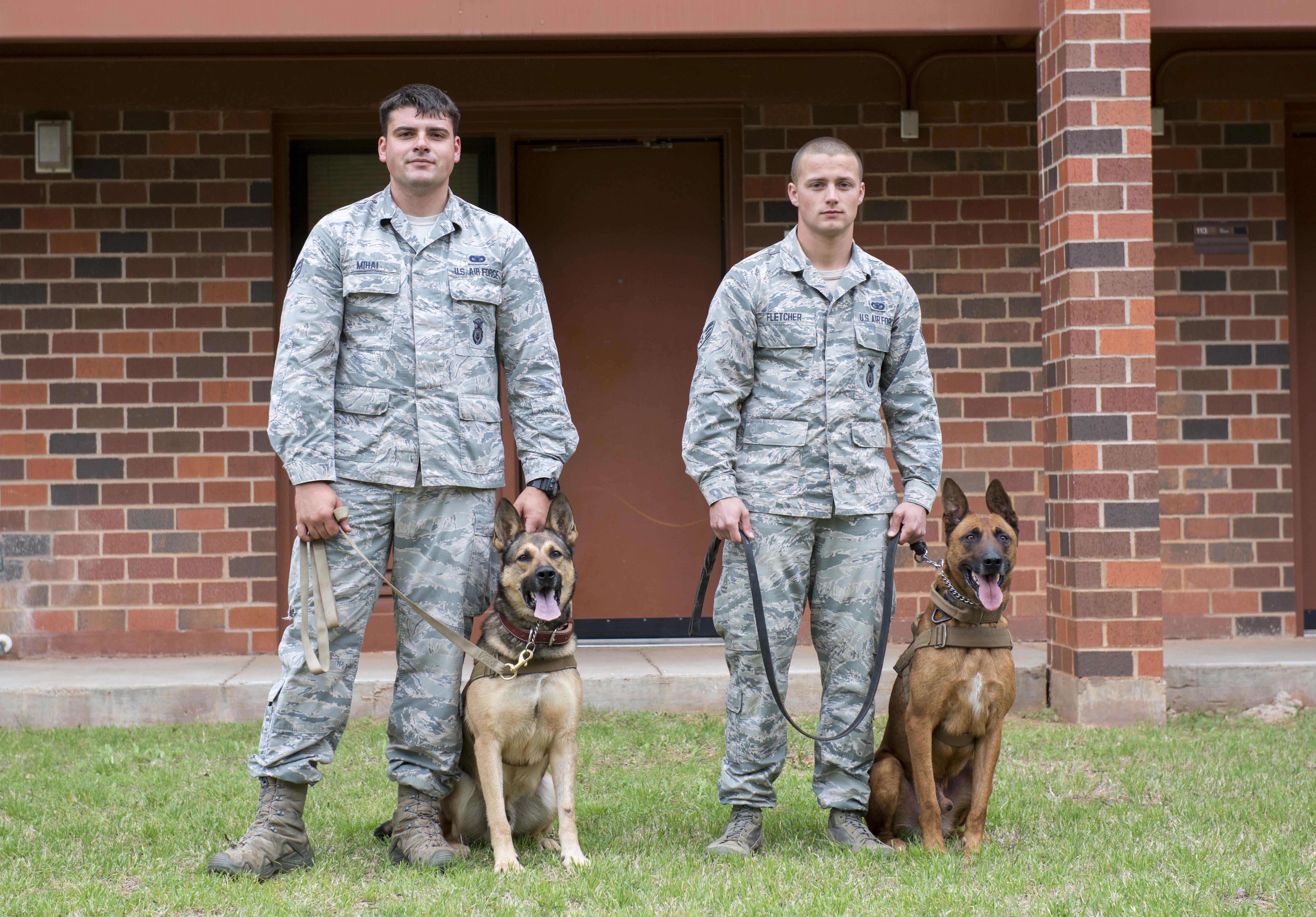 Military working dog: An Airman’s best friend > Dyess Air Force Base ...