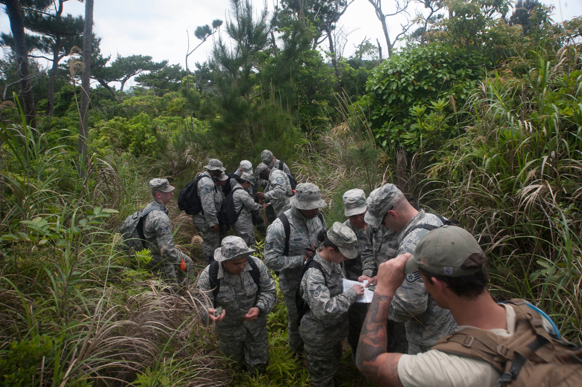 A little stroll through a lot of jungle > Kadena Air Base > Article Display