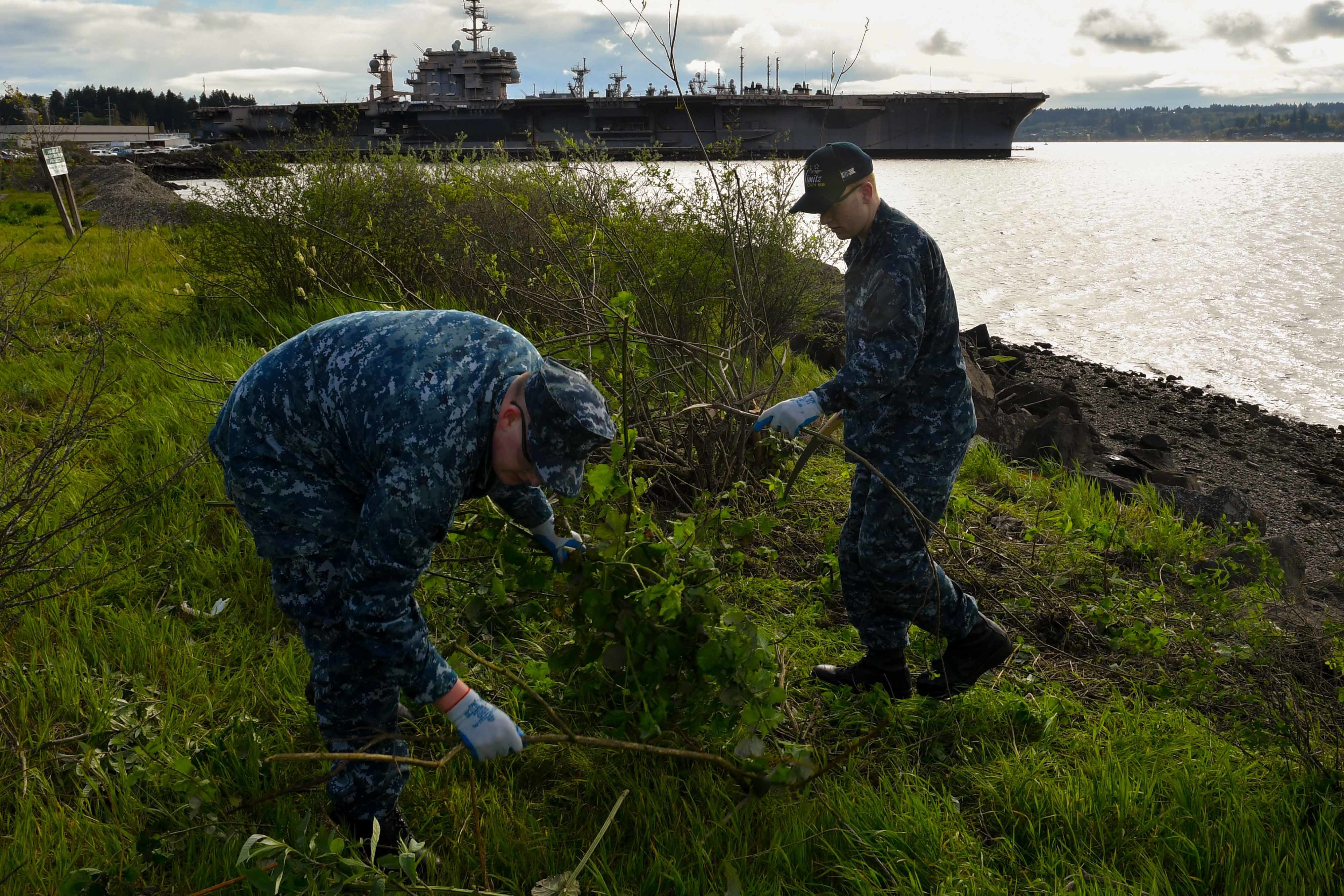 Nimitz Removes Invasive Vegetation from Sinclair Inlet Shoreline ...