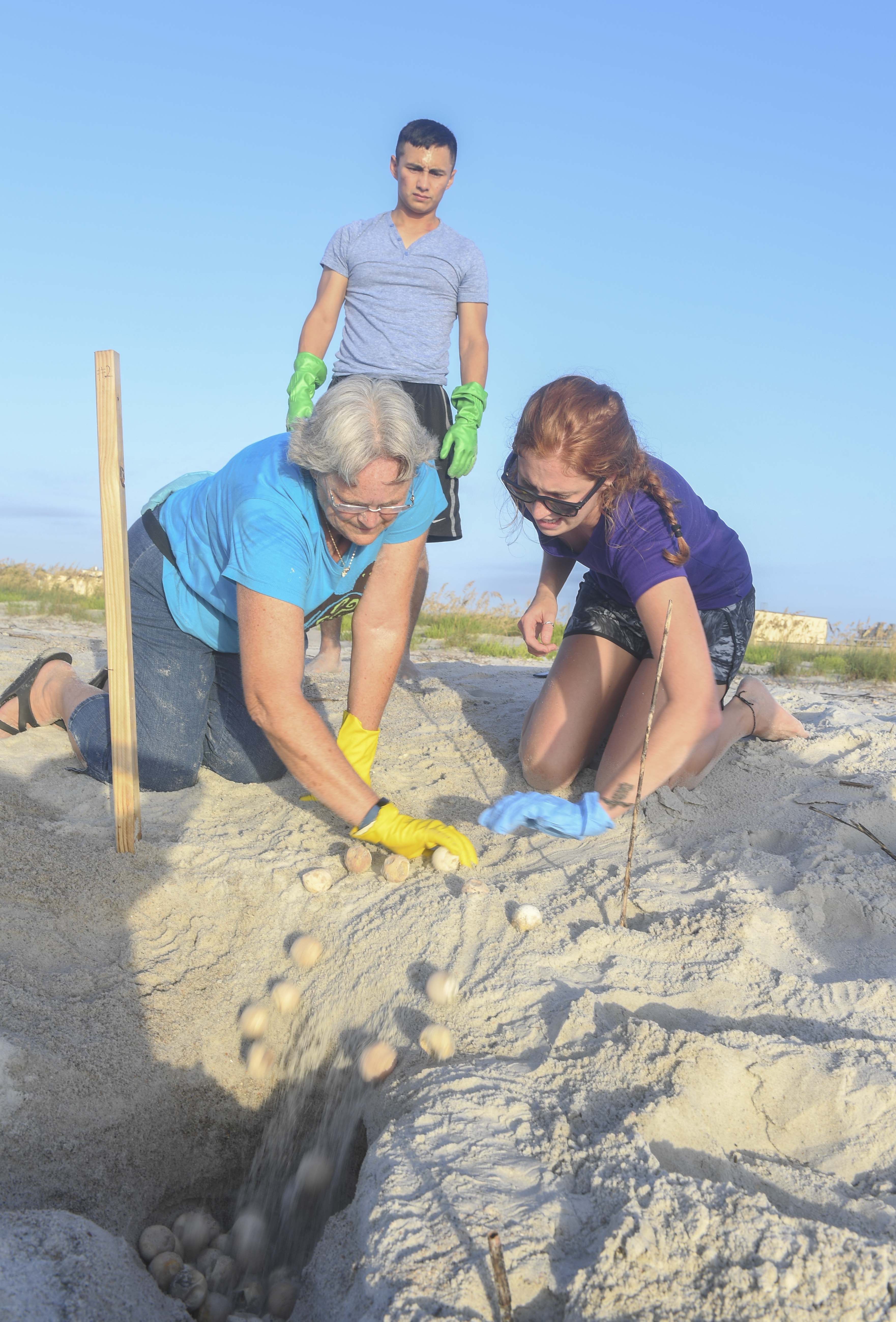 Helping Hands: NAVSTAMayport Volunteers Inventory Sea Turtle Eggs ...