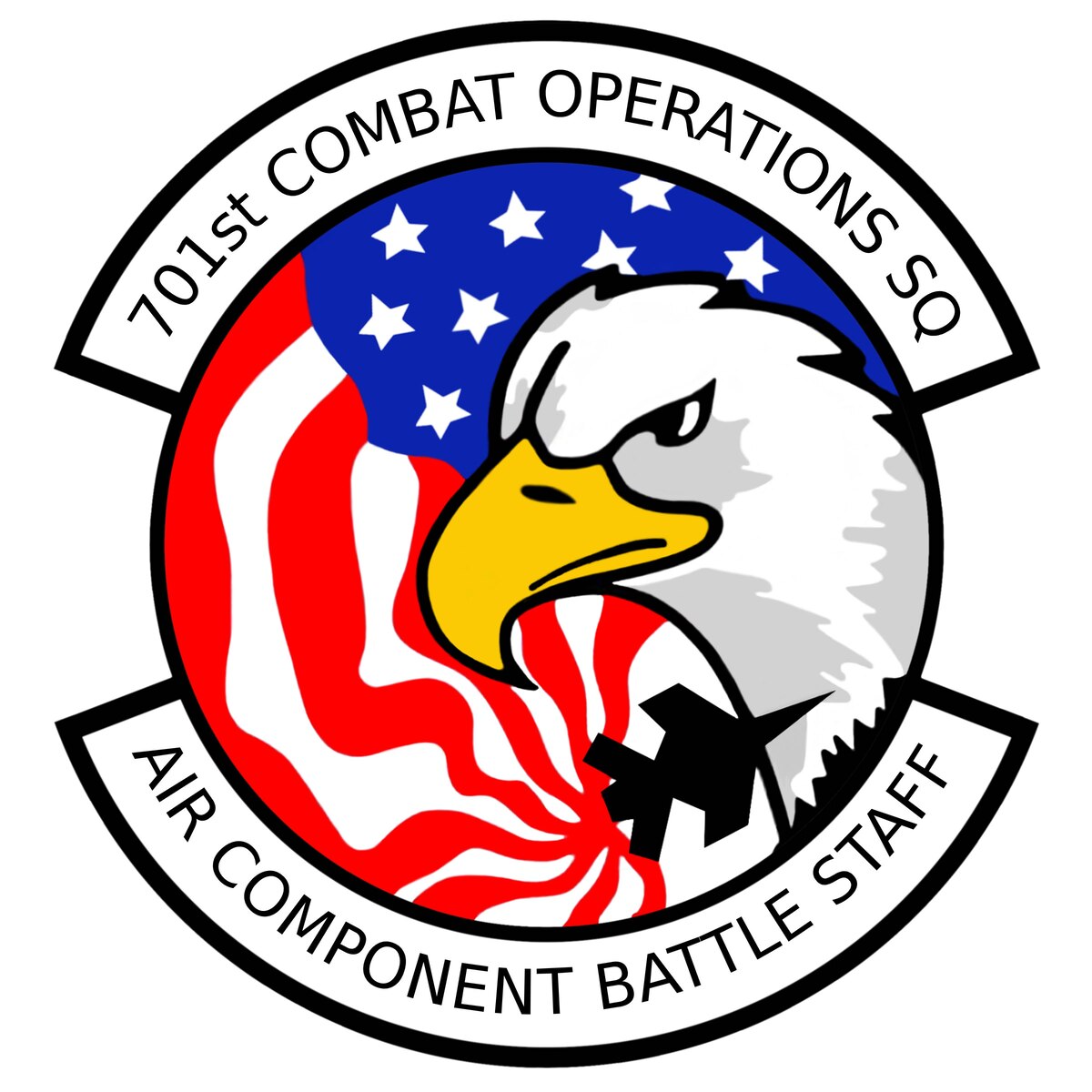 701st Combat Operations Squadron > 10th Air Force > Display