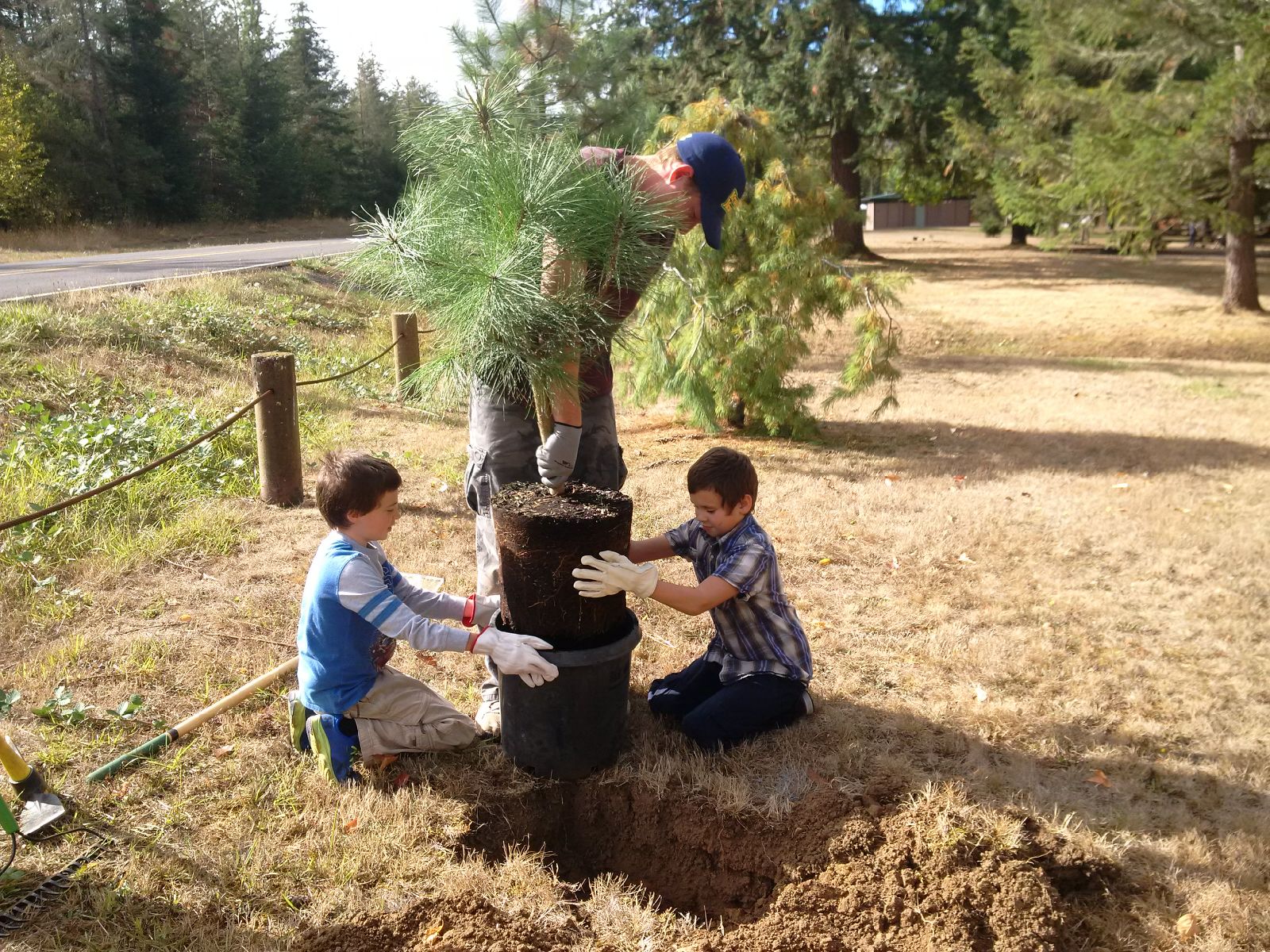 Free camping for tree planting > Portland District > Portland District ...