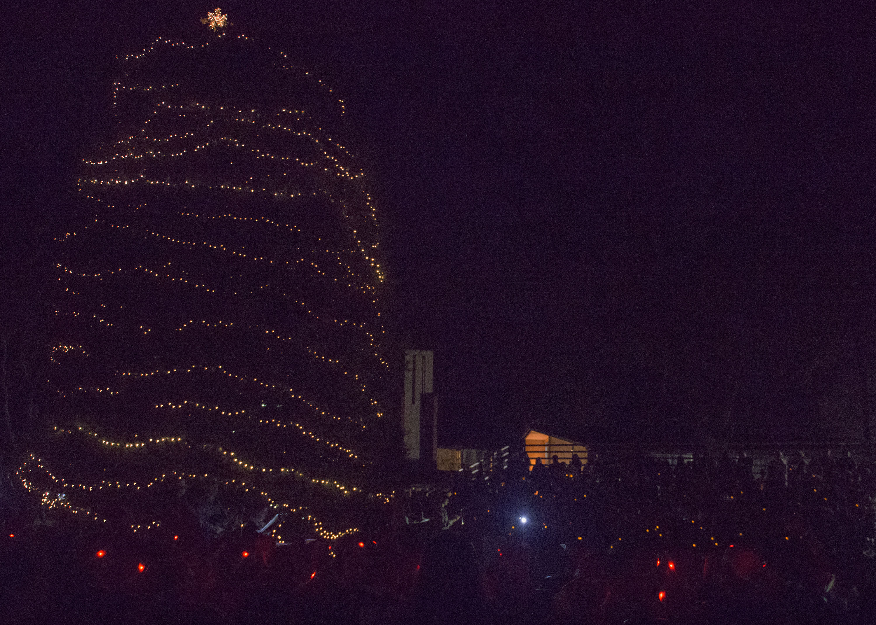 O'Christmas tree, O'Christmas tree > Eglin Air Force Base > Article Display