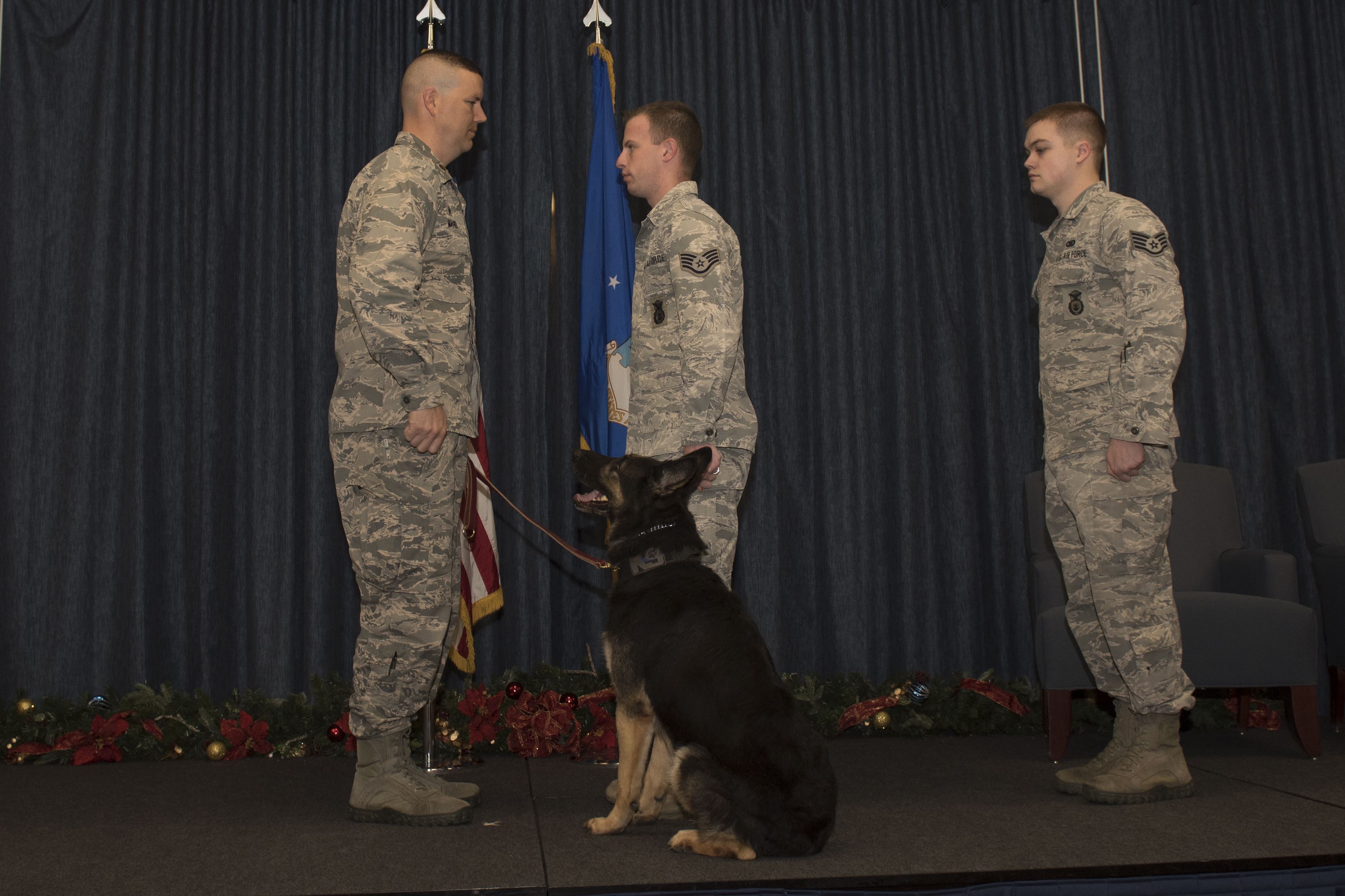 K9 honored for years dedicated to service > Fairchild Air Force Base > News