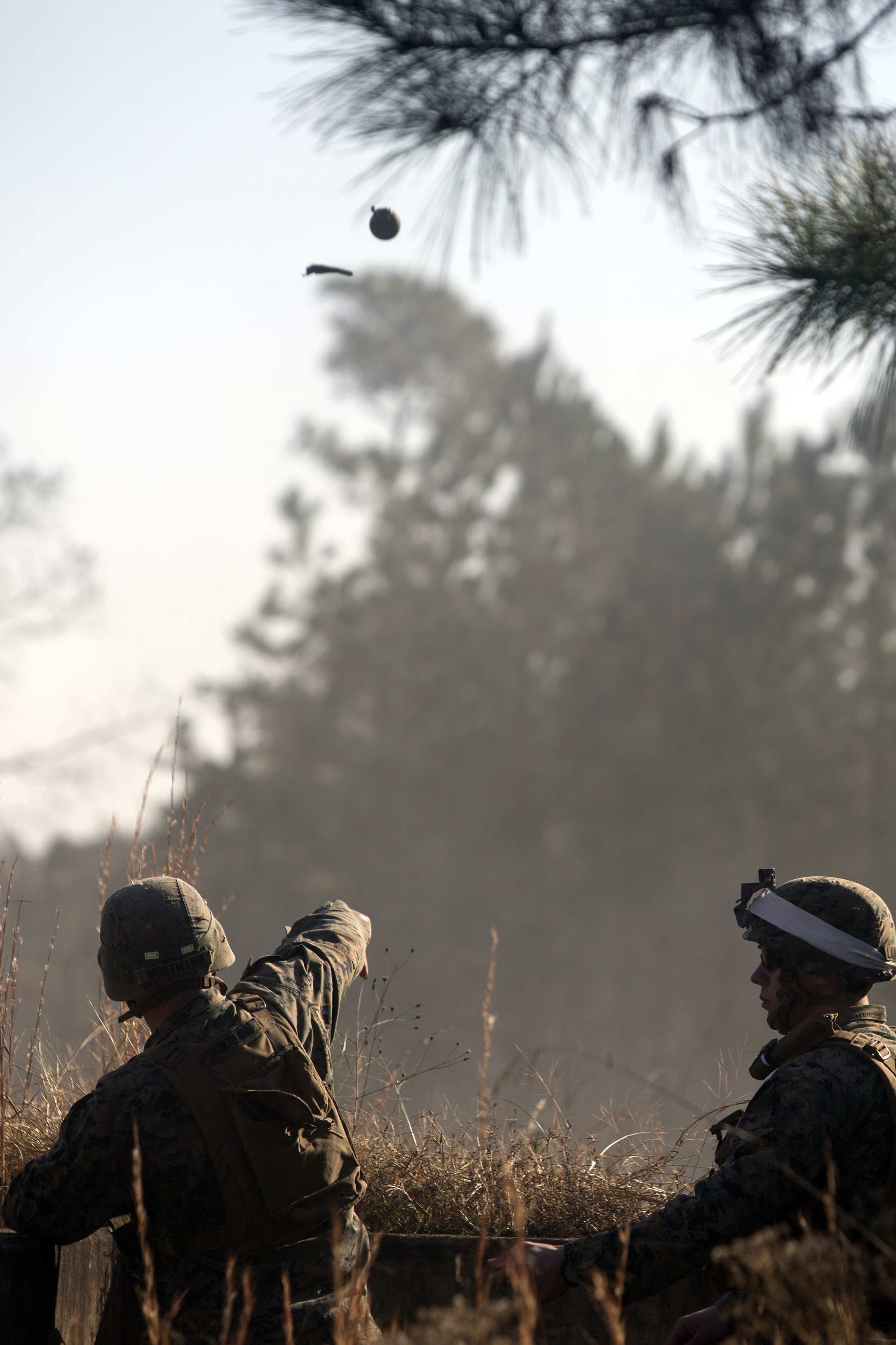 Grenade Toss | U.S. Department of War