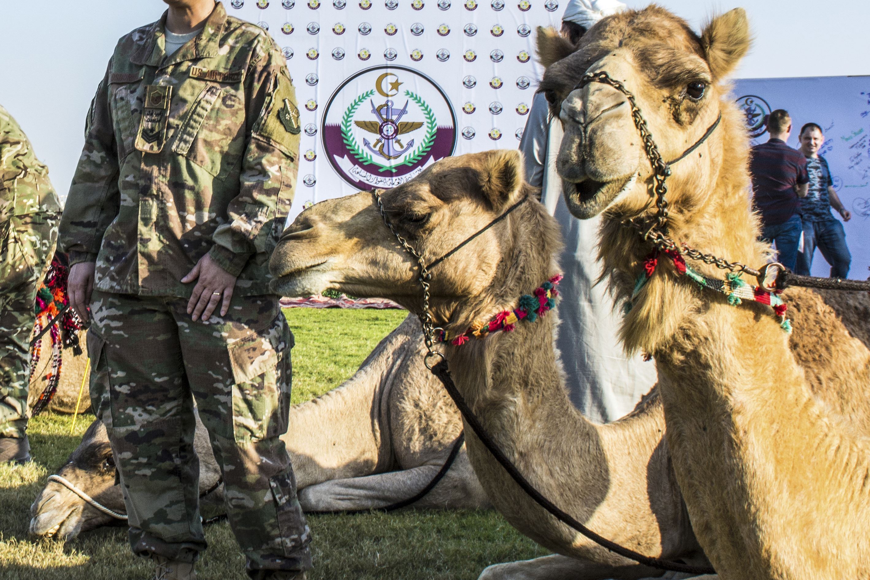 Camel Klatch | U.S. Department of War