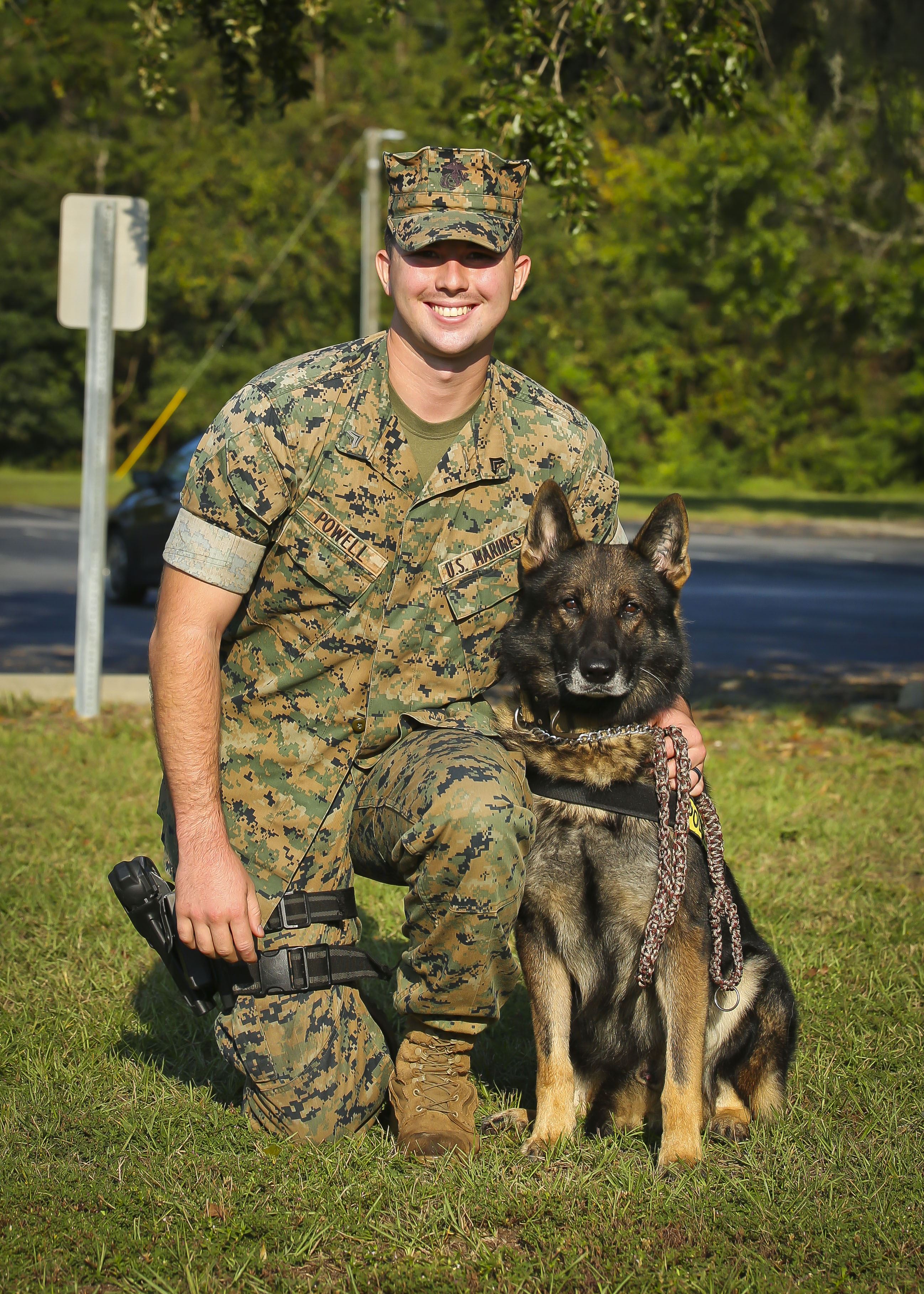 K-9 team earns certification > Marine Corps Air Station Beaufort > Article