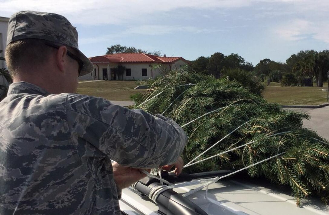 Trees for Troops 2017