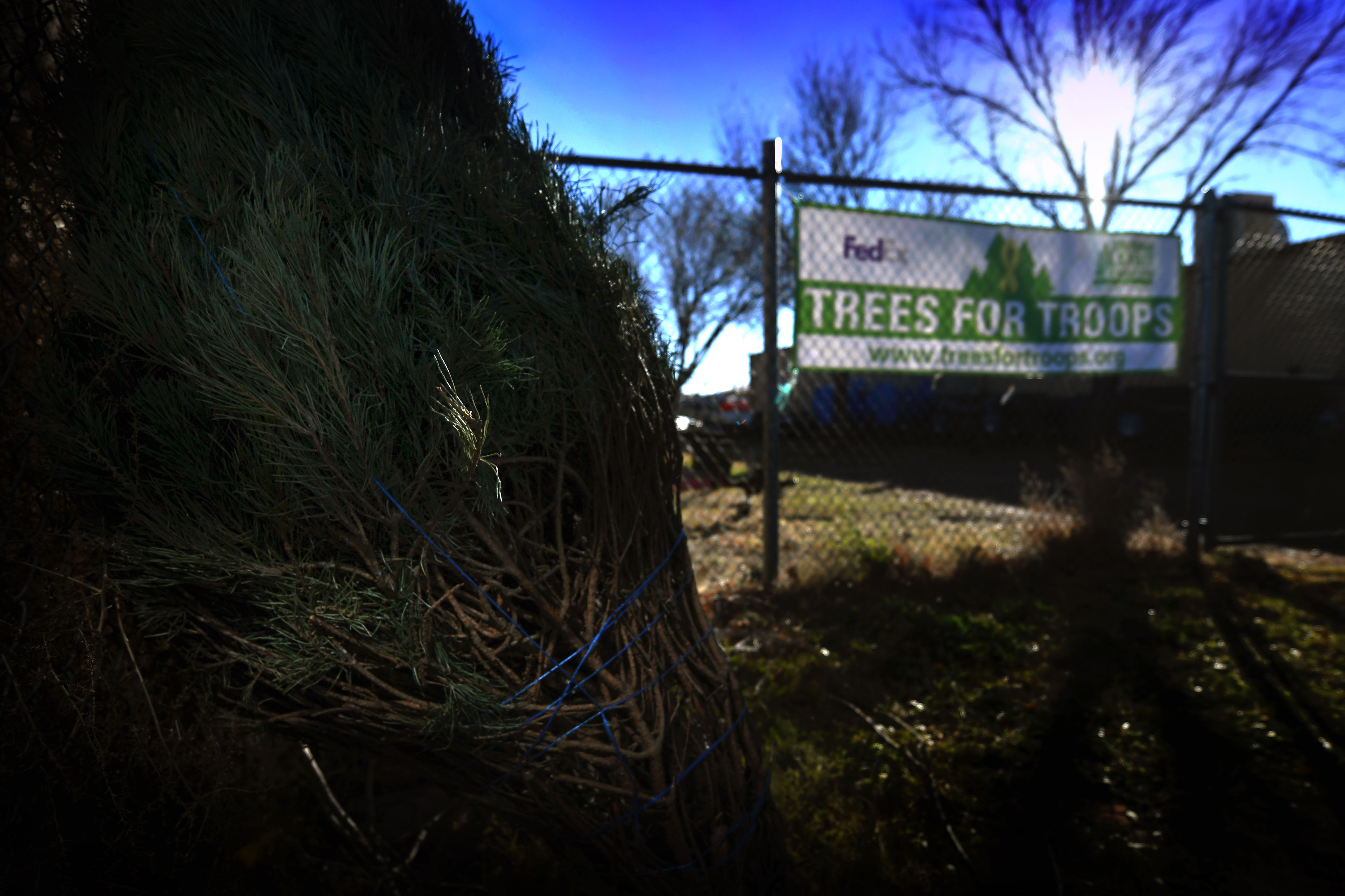 Trees for Troops delivers Christmas joy > Cannon Air Force Base > News