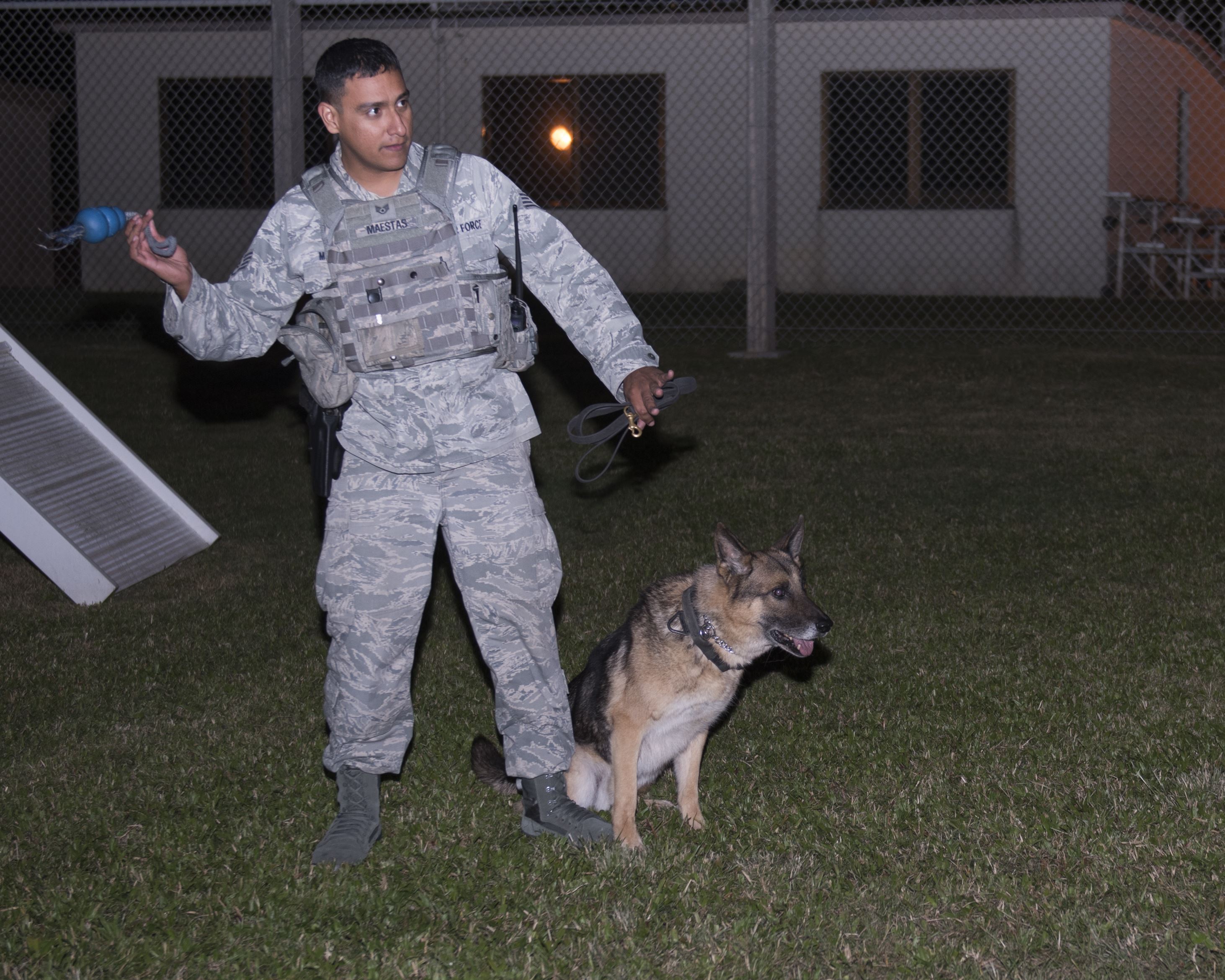 It’s a Hard Bark Life: A Day in the Life of a Military Working Dog > U ...