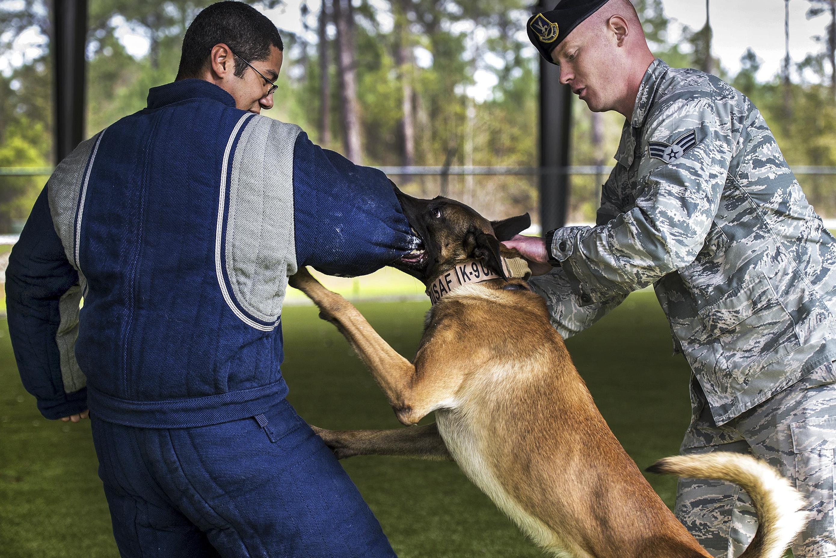 Bite Training | U.S. Department of War