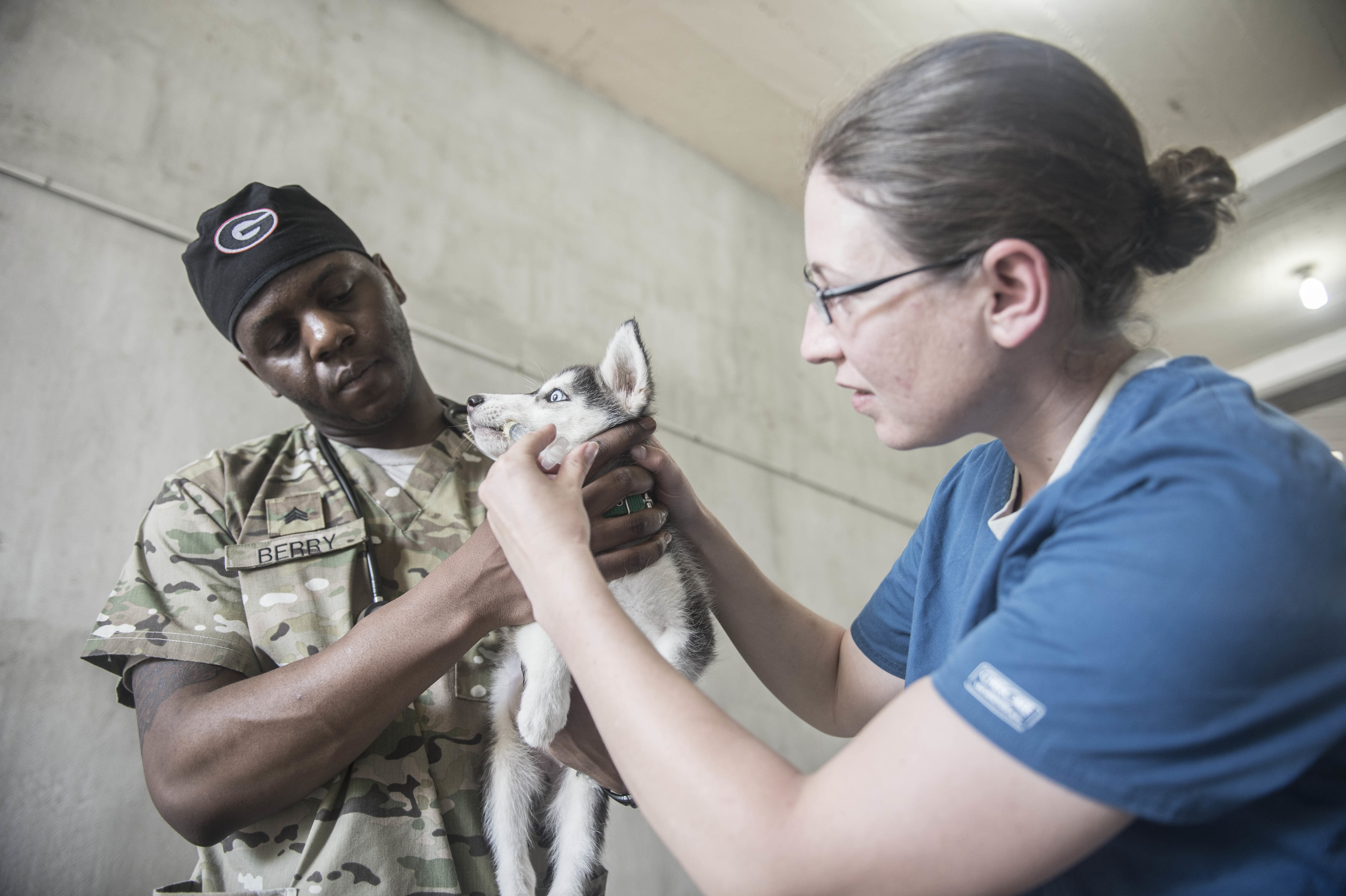 Continuing Promise Vet Team Holds Training with Guatemalan Ministry of ...