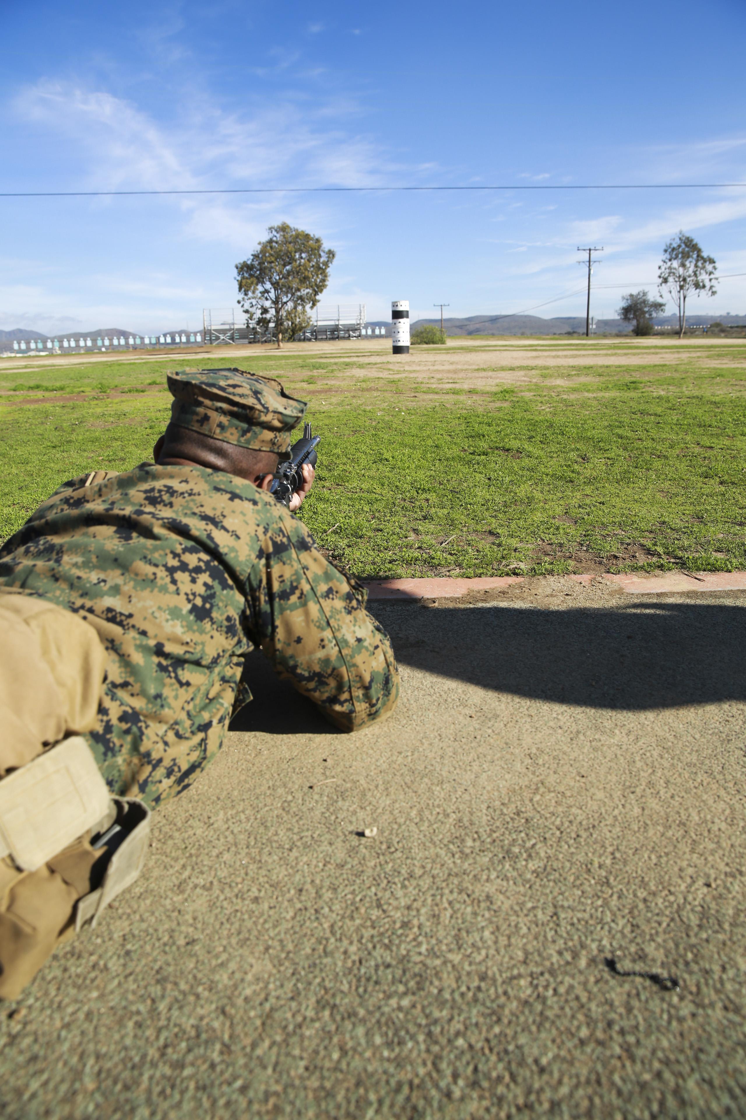 India Co. – Grass Week