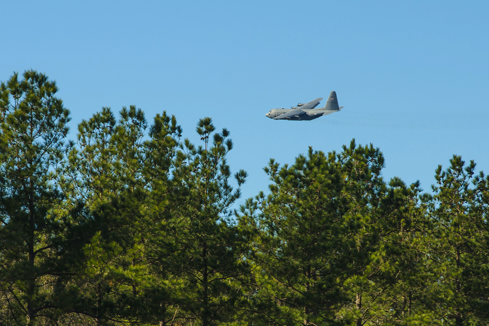 Tree Top Flying | U.S. Department of War