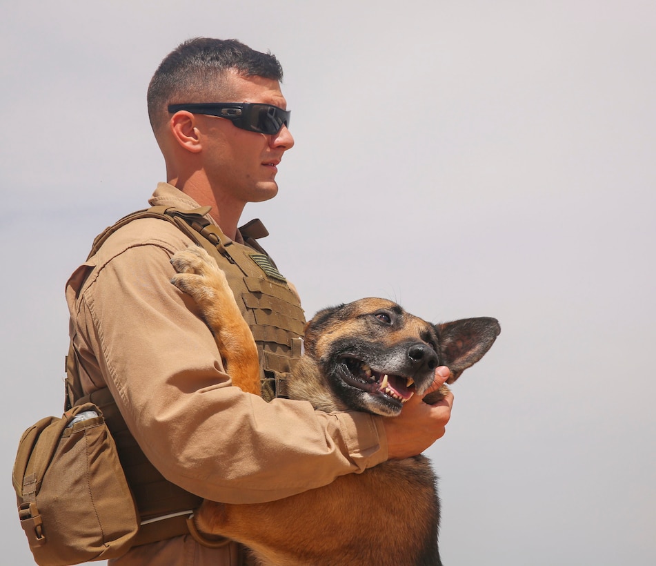 MCAS Yuma K-9 Unit Conducts Explosive Detection Training