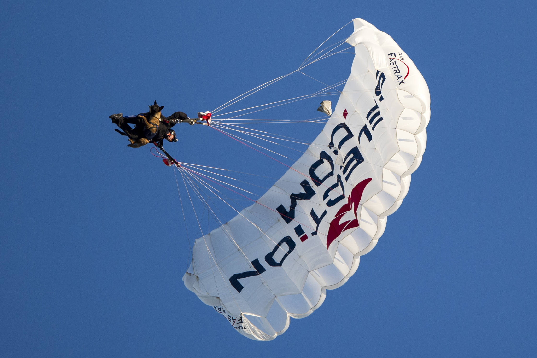 Flying Dog | U.S. Department of War