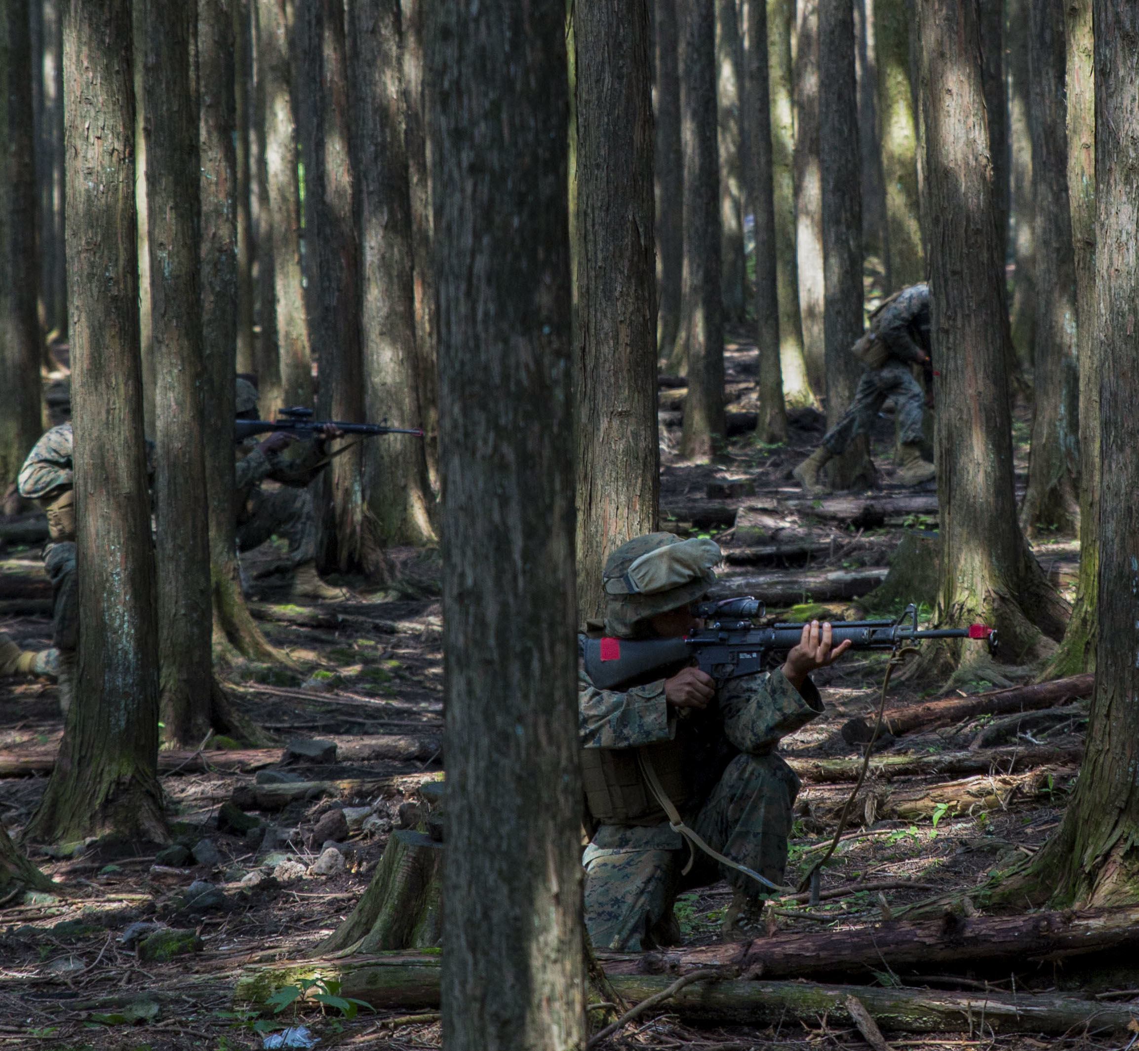 MWSS-171 proves it can support entire MAG > United States Marine Corps ...