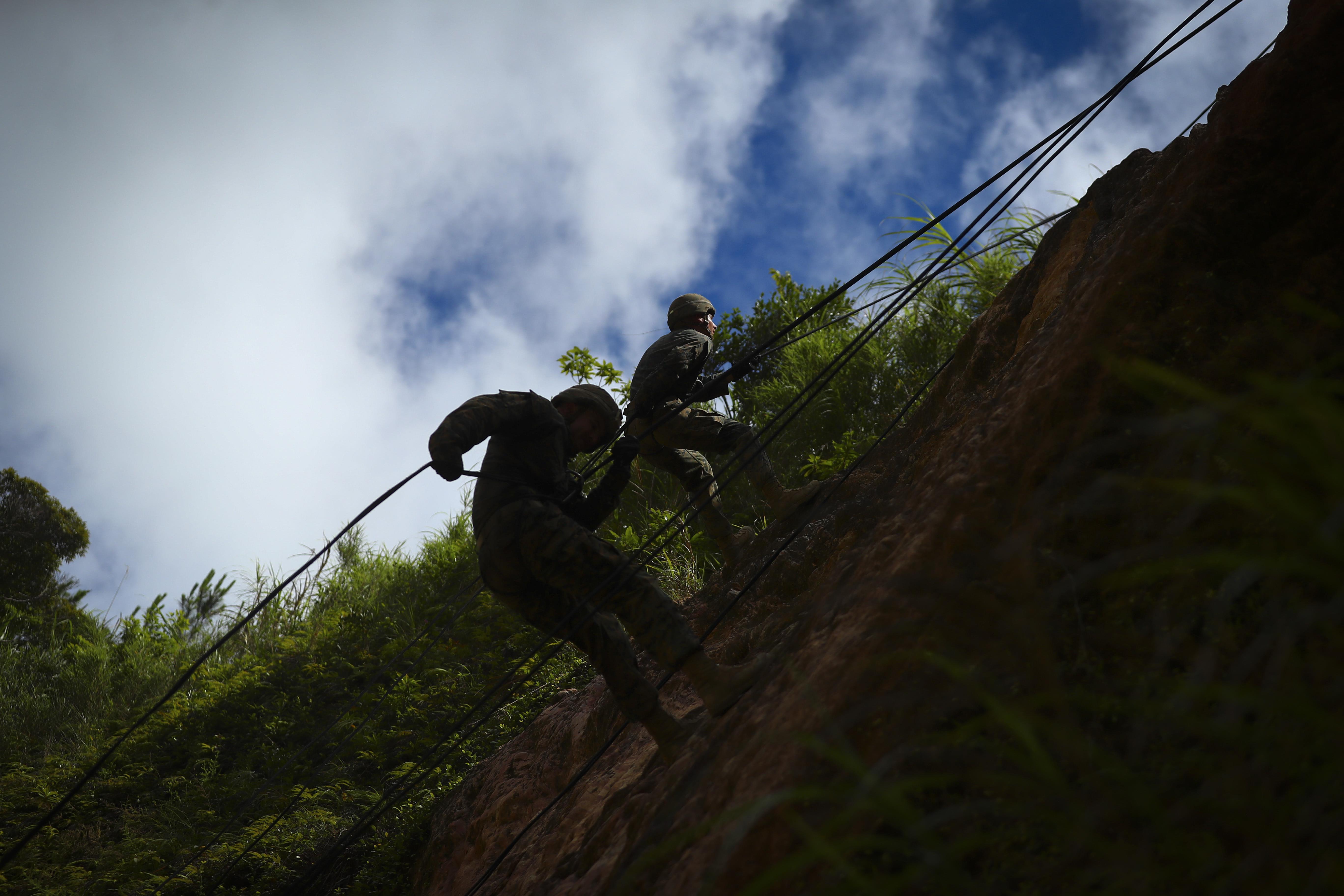 Welcome to the jungle